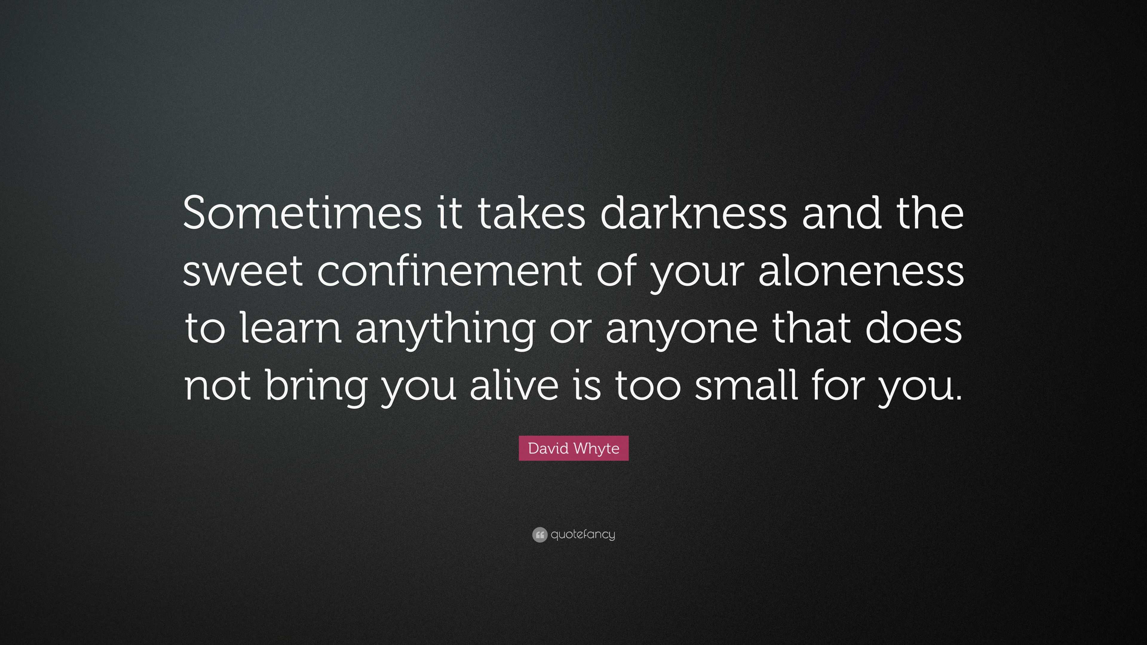 David Whyte Quote: “Sometimes it takes darkness and the sweet ...