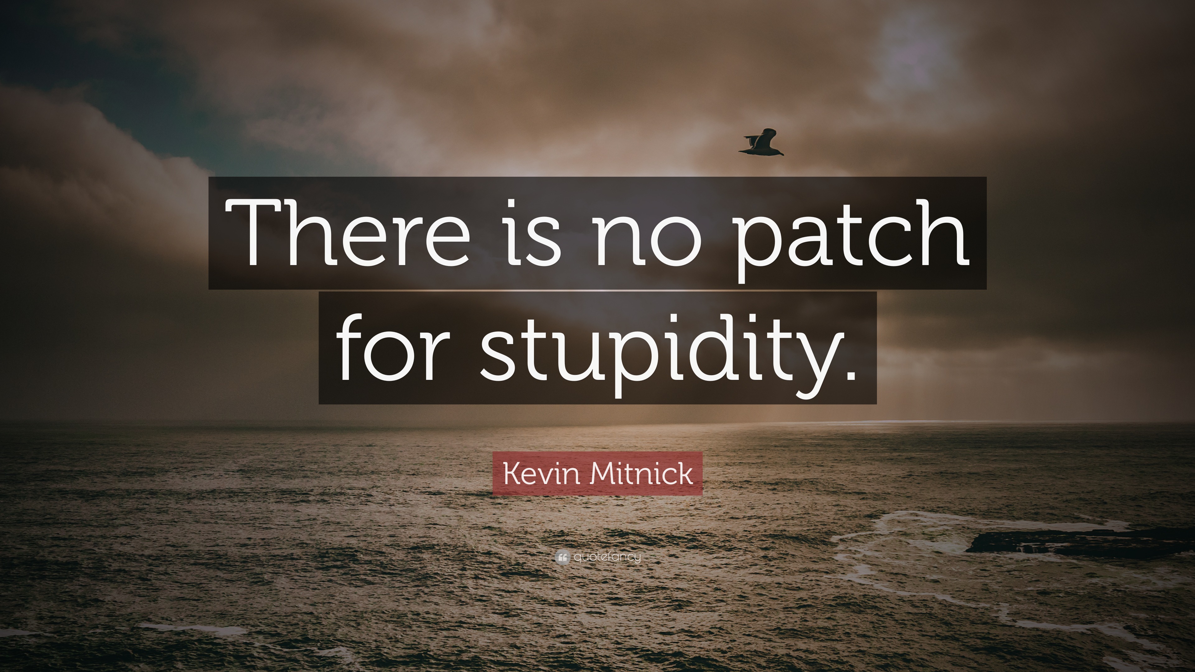 Kevin Mitnick Quote: “There is no patch for stupidity.”