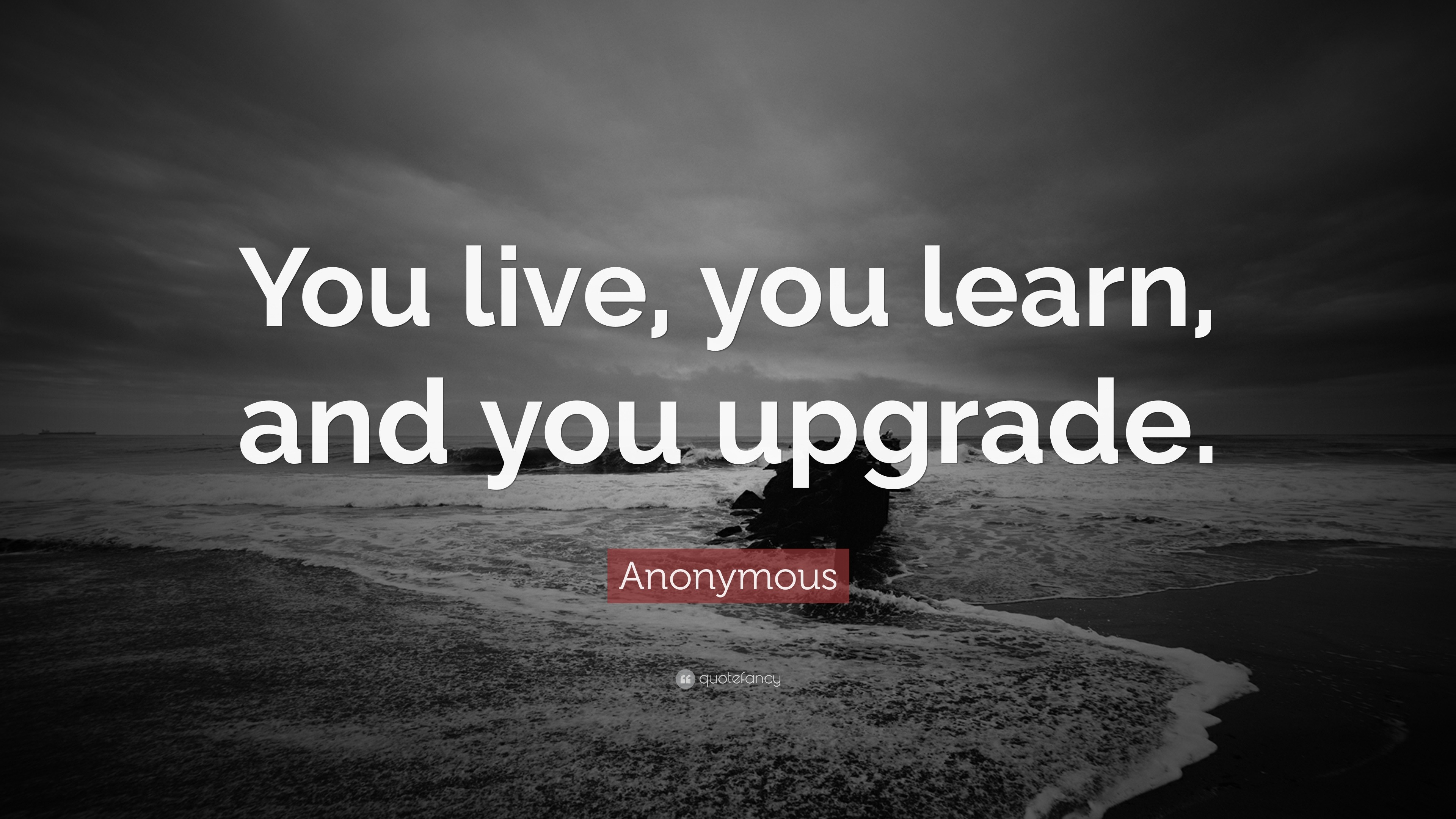 Anonymous Quote: “You live, you learn, and you upgrade.”