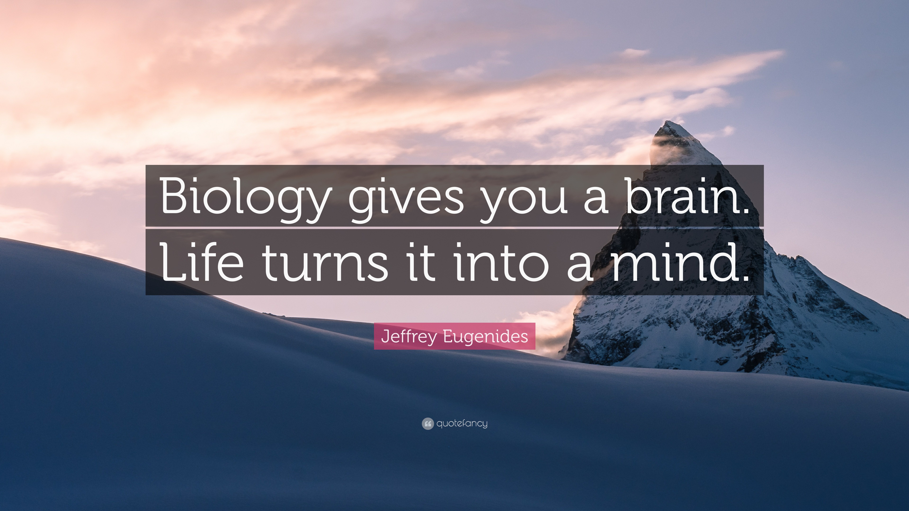 Jeffrey Eugenides Quote: “Biology gives you a brain. Life turns it into ...