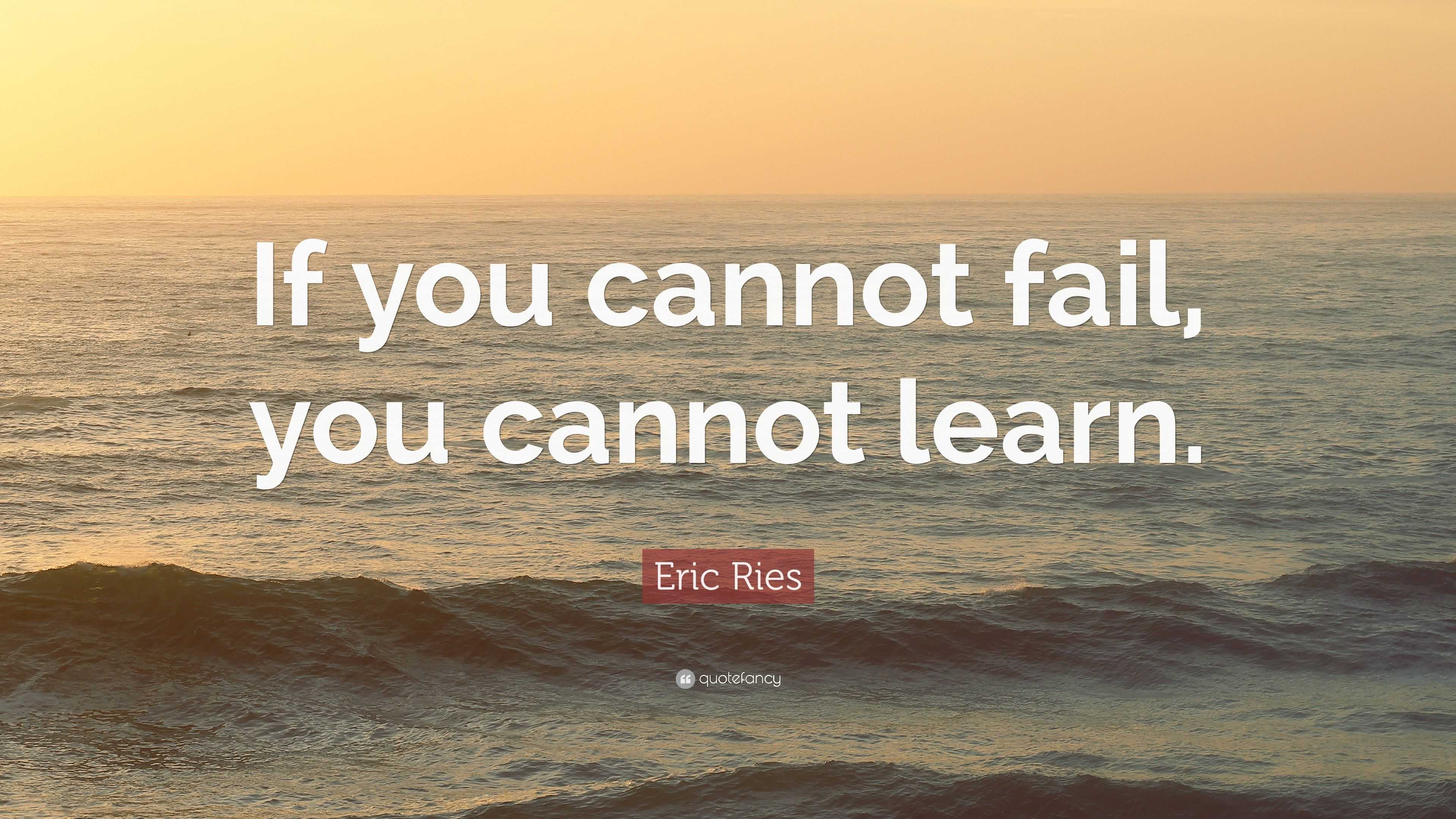 Eric Ries Quote: “If you cannot fail, you cannot learn.”