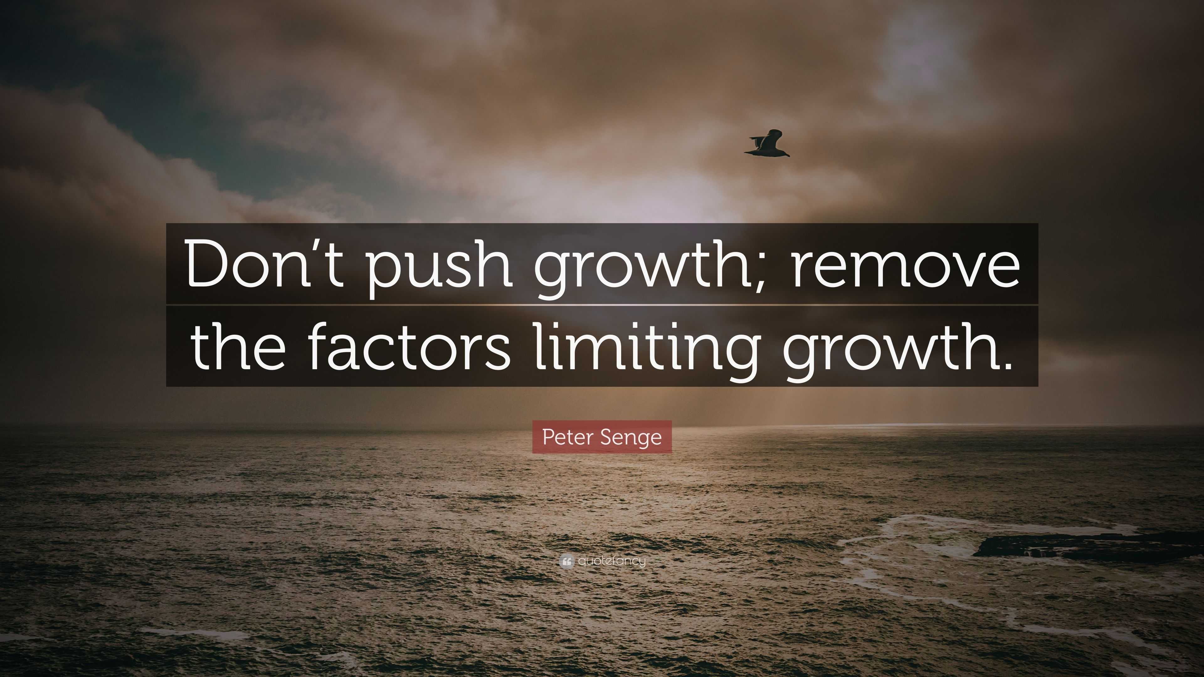 Peter Senge Quote: “Don’t push growth; remove the factors limiting growth.”