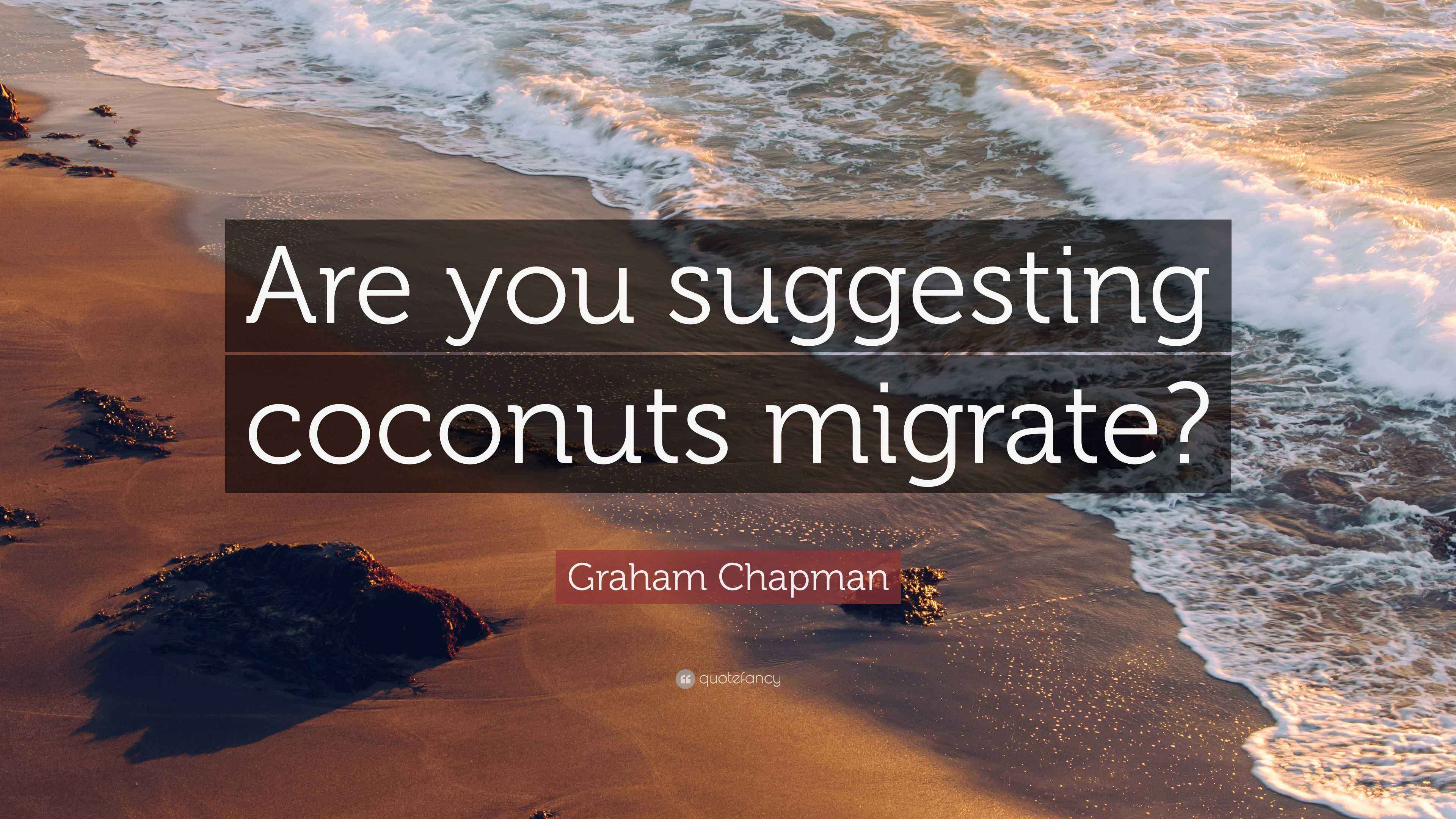 Graham Chapman Quote: “Are you suggesting coconuts migrate?”