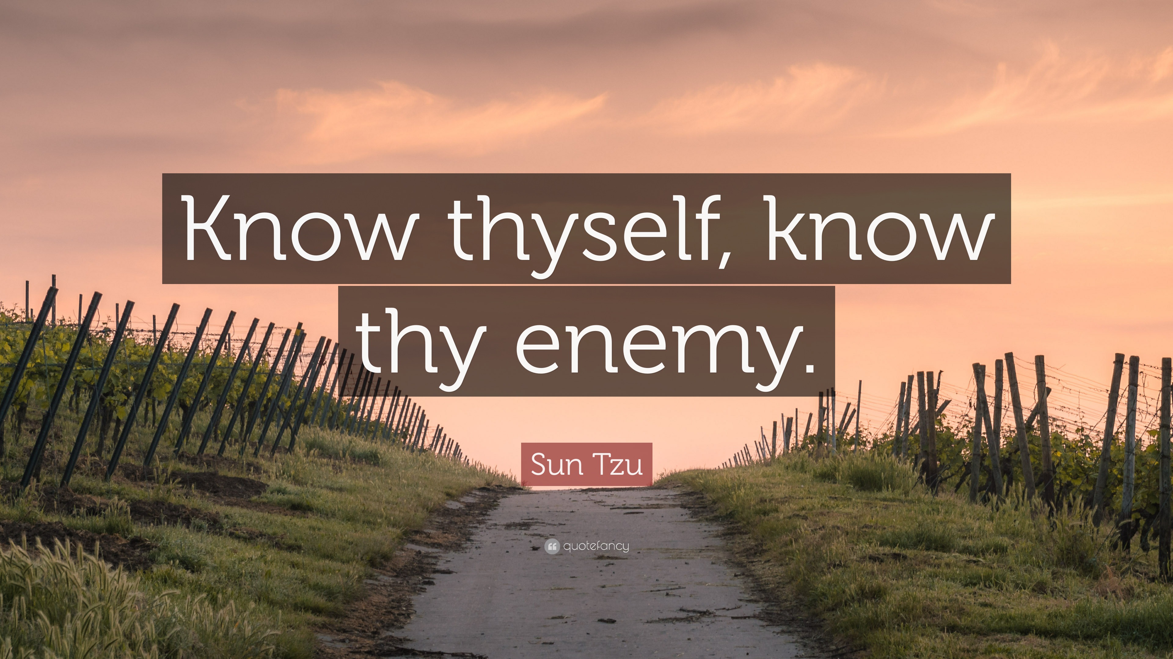 Sun Tzu Quote: “Know thyself, know thy enemy.”