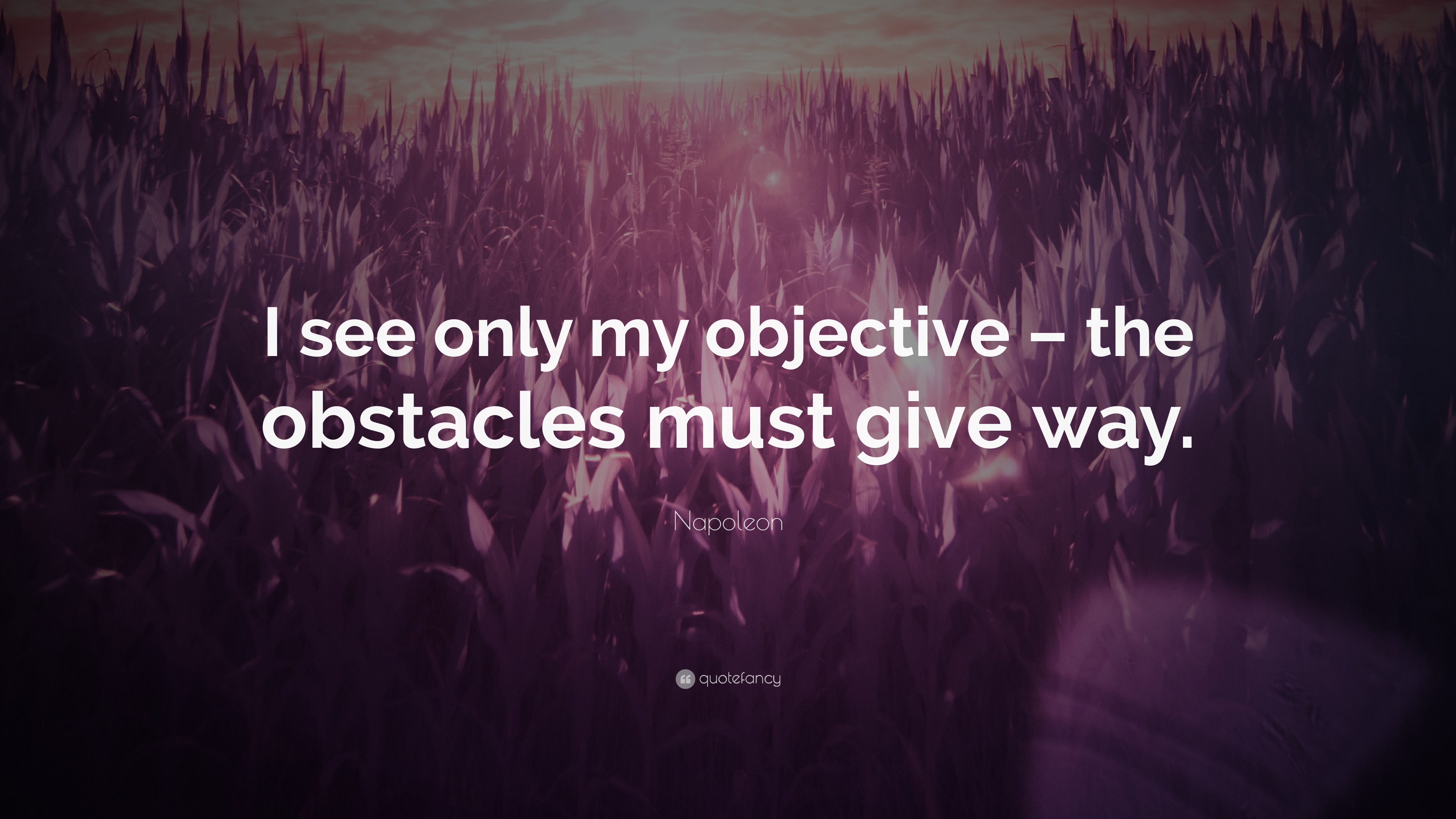 Napoleon Quote: “I see only my objective – the obstacles must give way.”