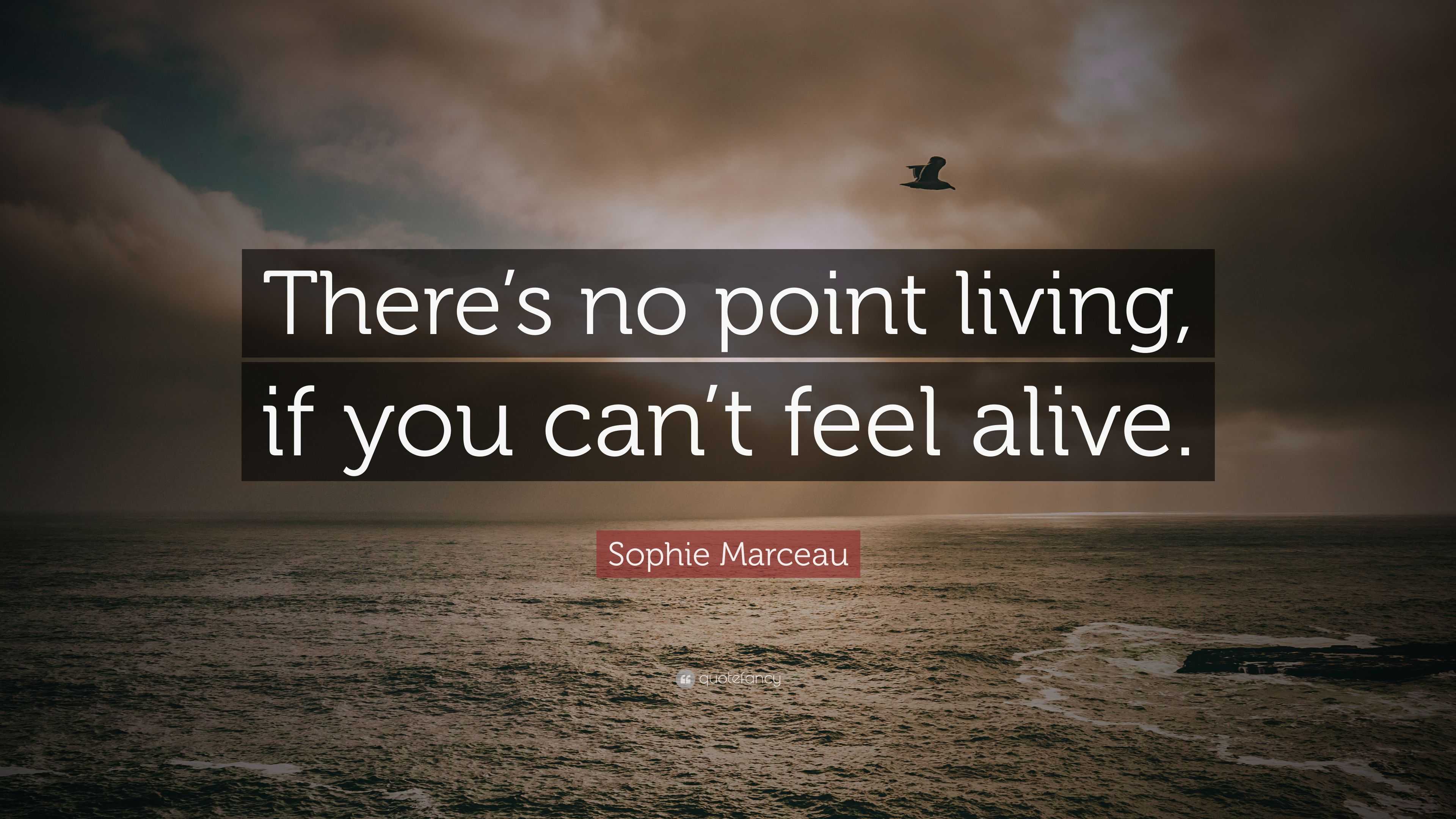 Sophie Marceau Quote: “There’s no point living, if you can’t feel alive.”