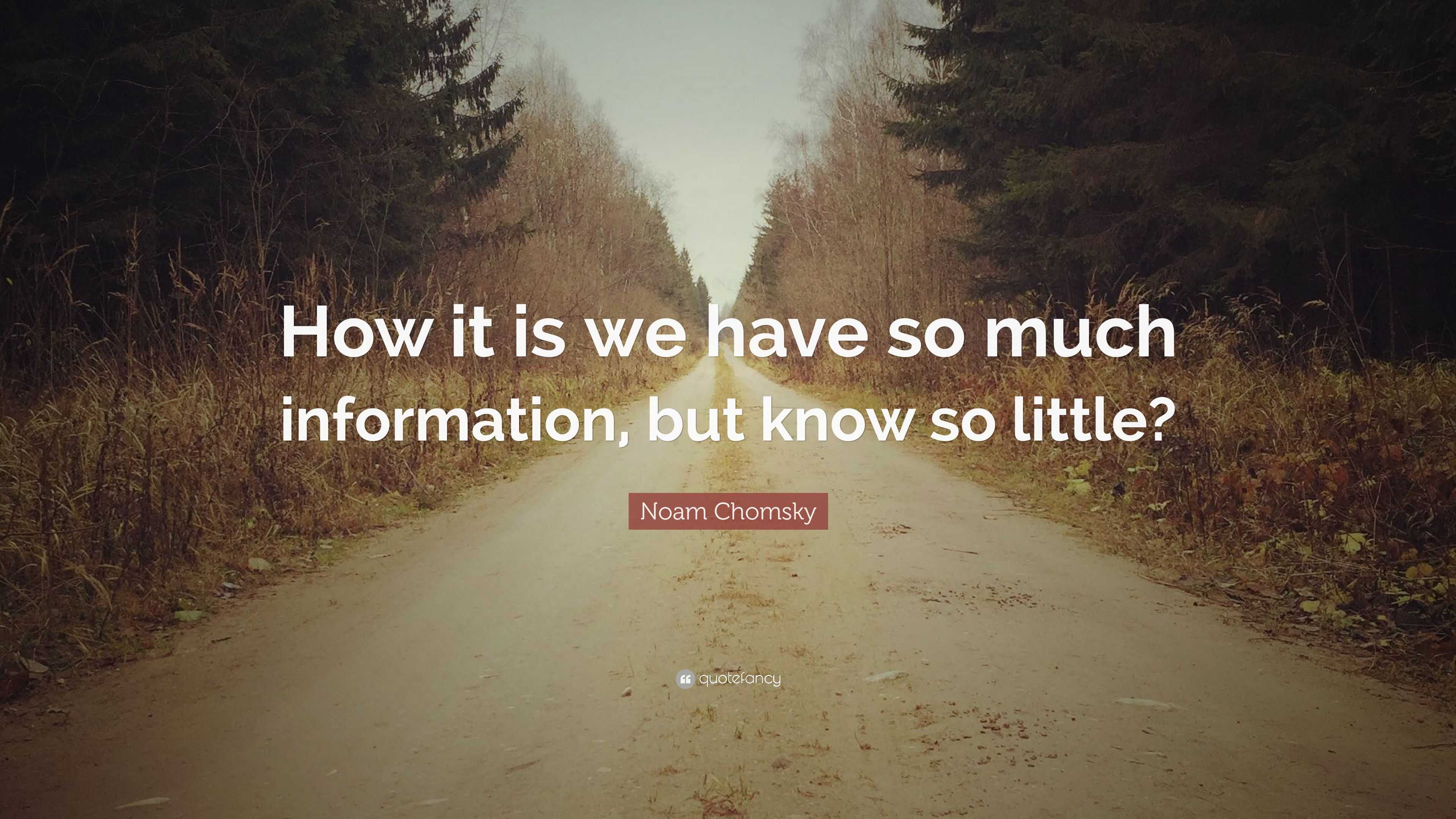 Noam Chomsky Quote: “How it is we have so much information, but know so ...