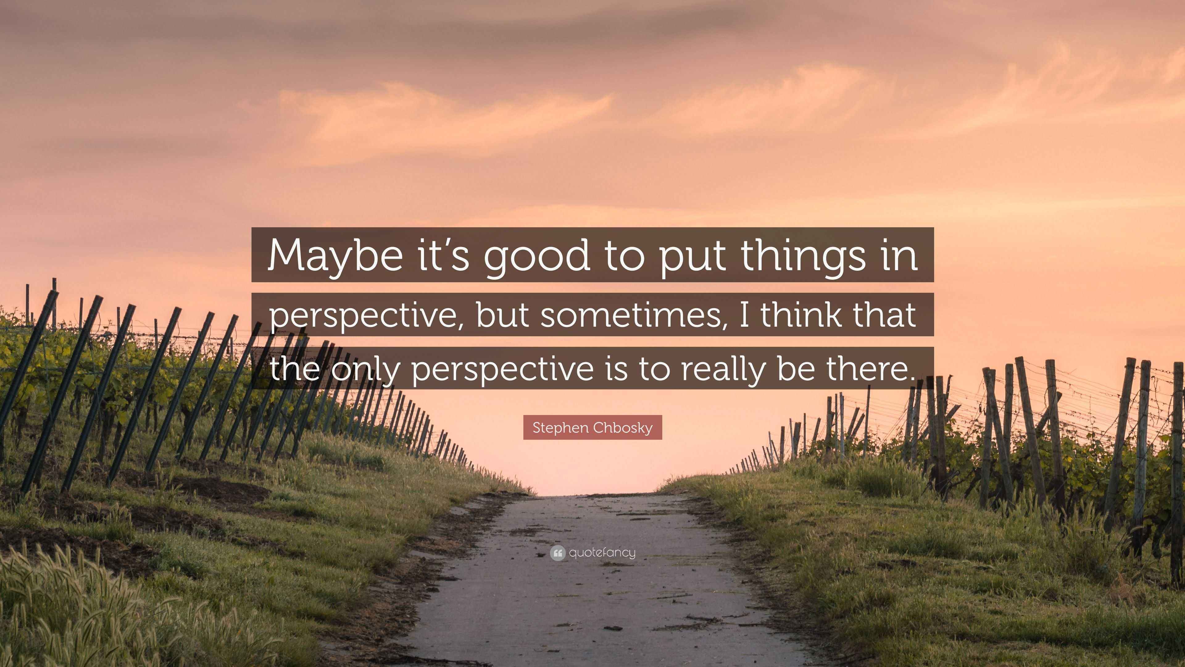 Stephen Chbosky Quote: “Maybe it’s good to put things in perspective ...