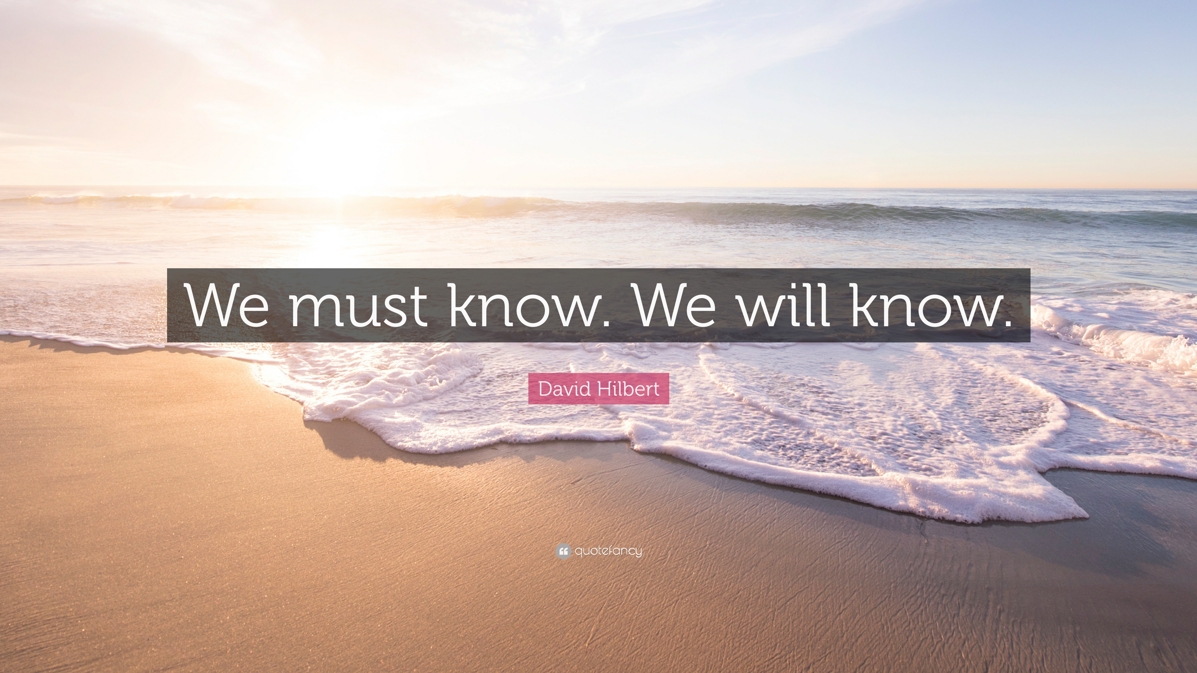 David Hilbert Quote: “We must know. We will know.”