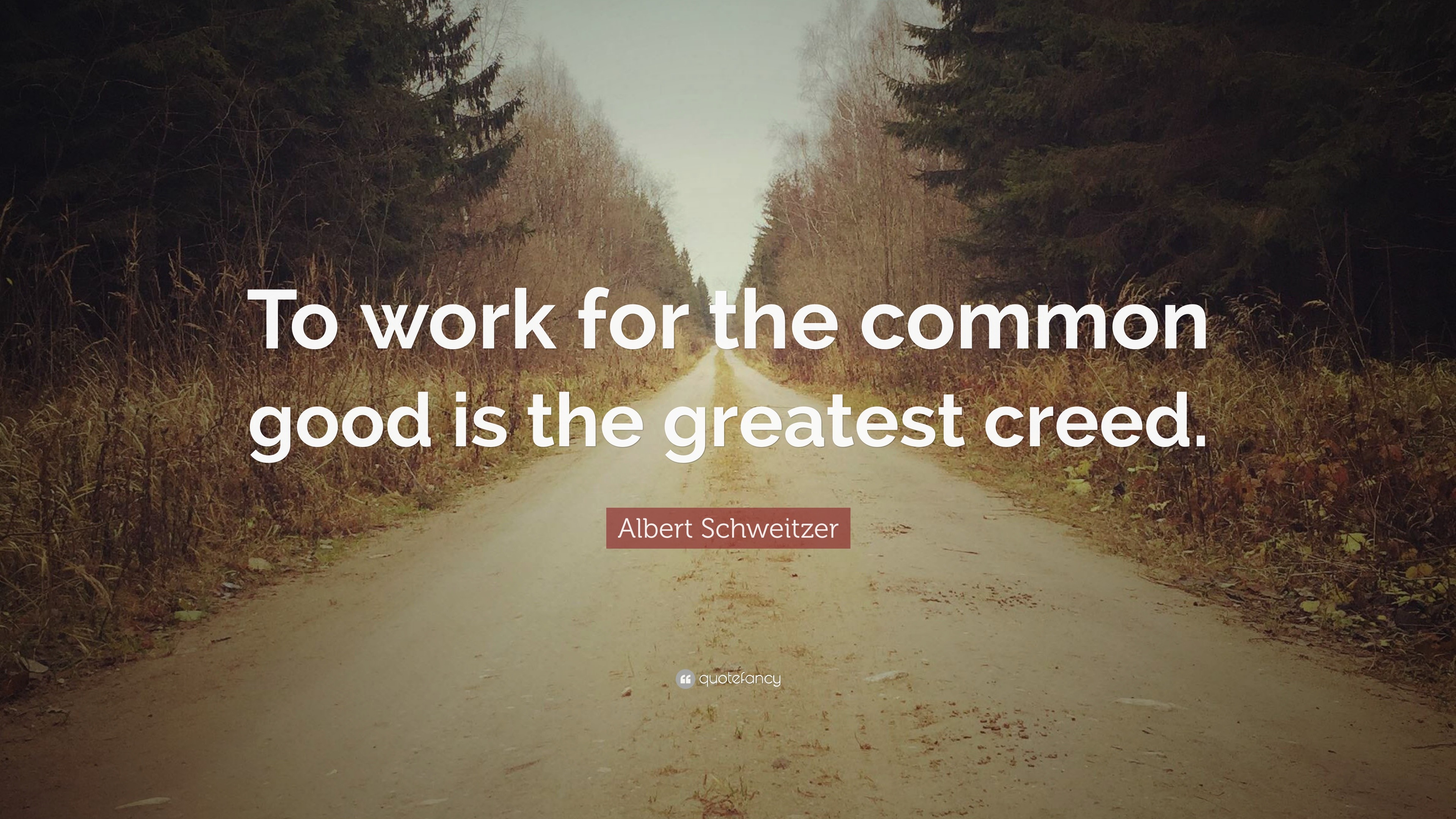 Albert Schweitzer Quote: “To work for the common good is the greatest ...