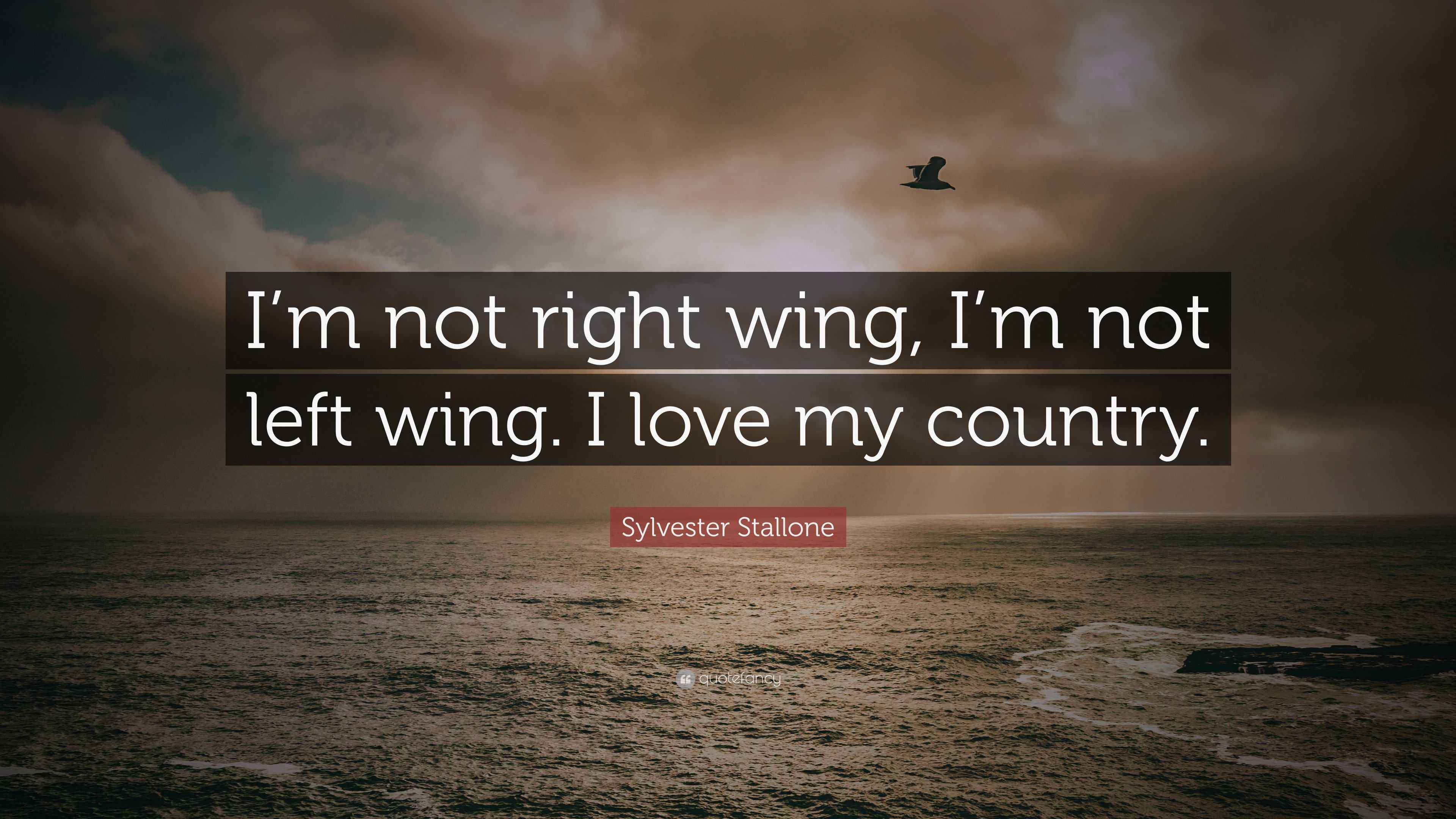Sylvester Stallone Quote: “I’m not right wing, I’m not left wing. I ...