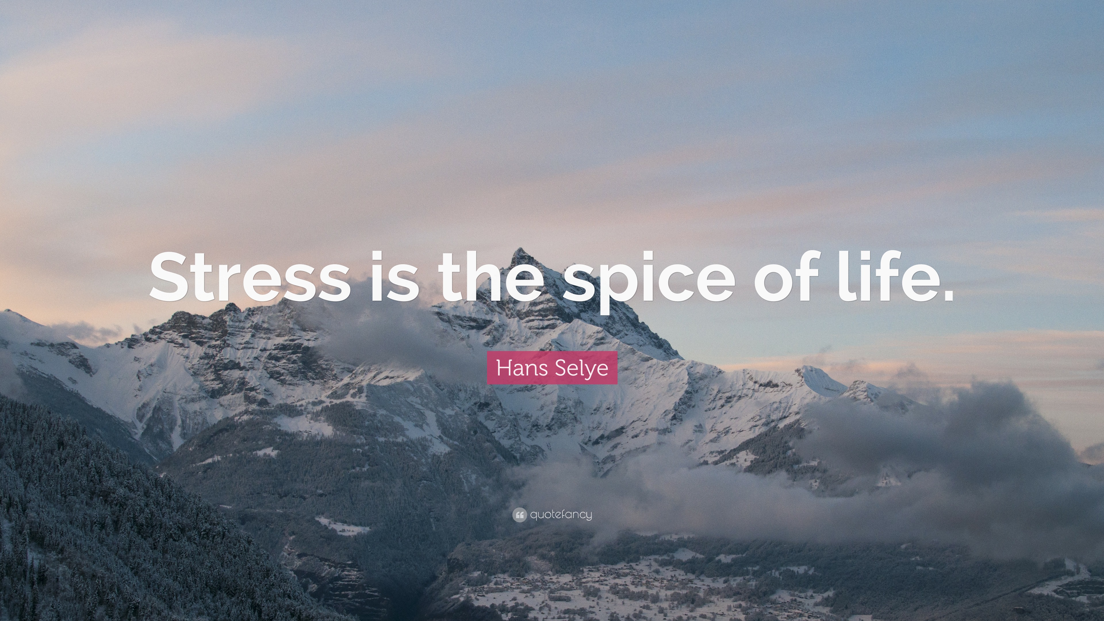 Hans Selye Quote: “Stress is the spice of life.”