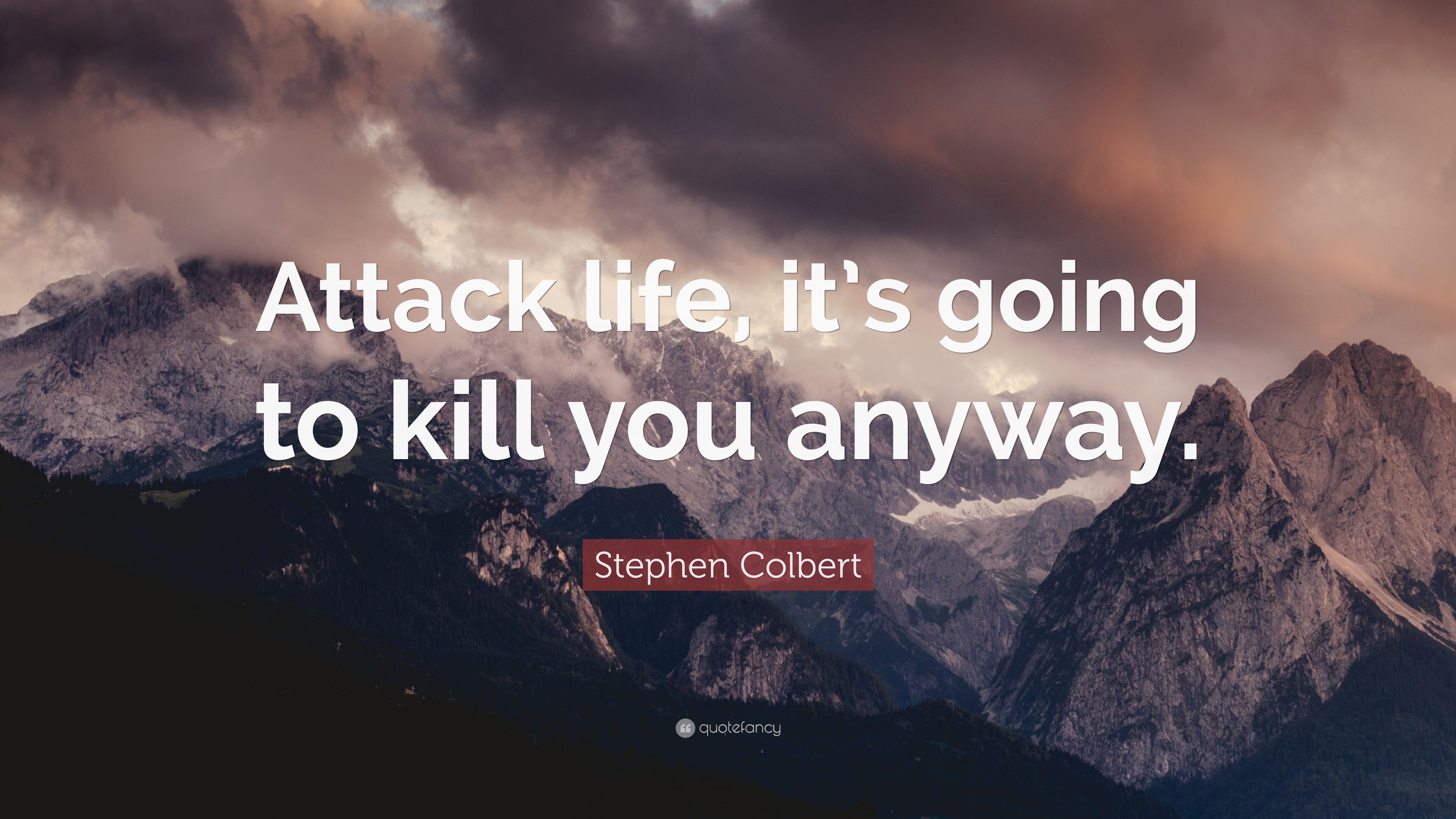 Stephen Colbert Quote: “Attack life, it’s going to kill you anyway.”