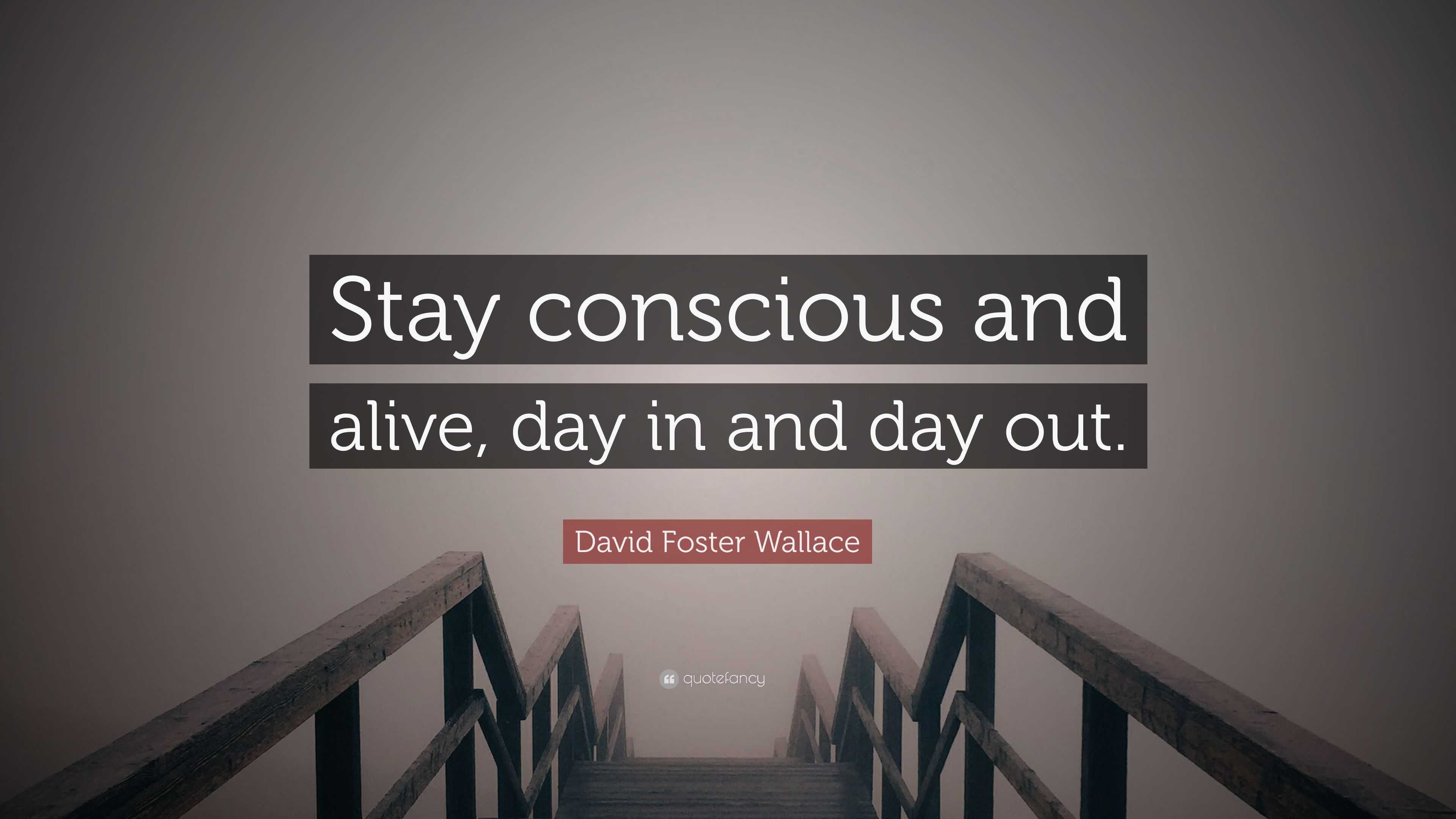 David Foster Wallace Quote: “Stay conscious and alive, day in and day out.”