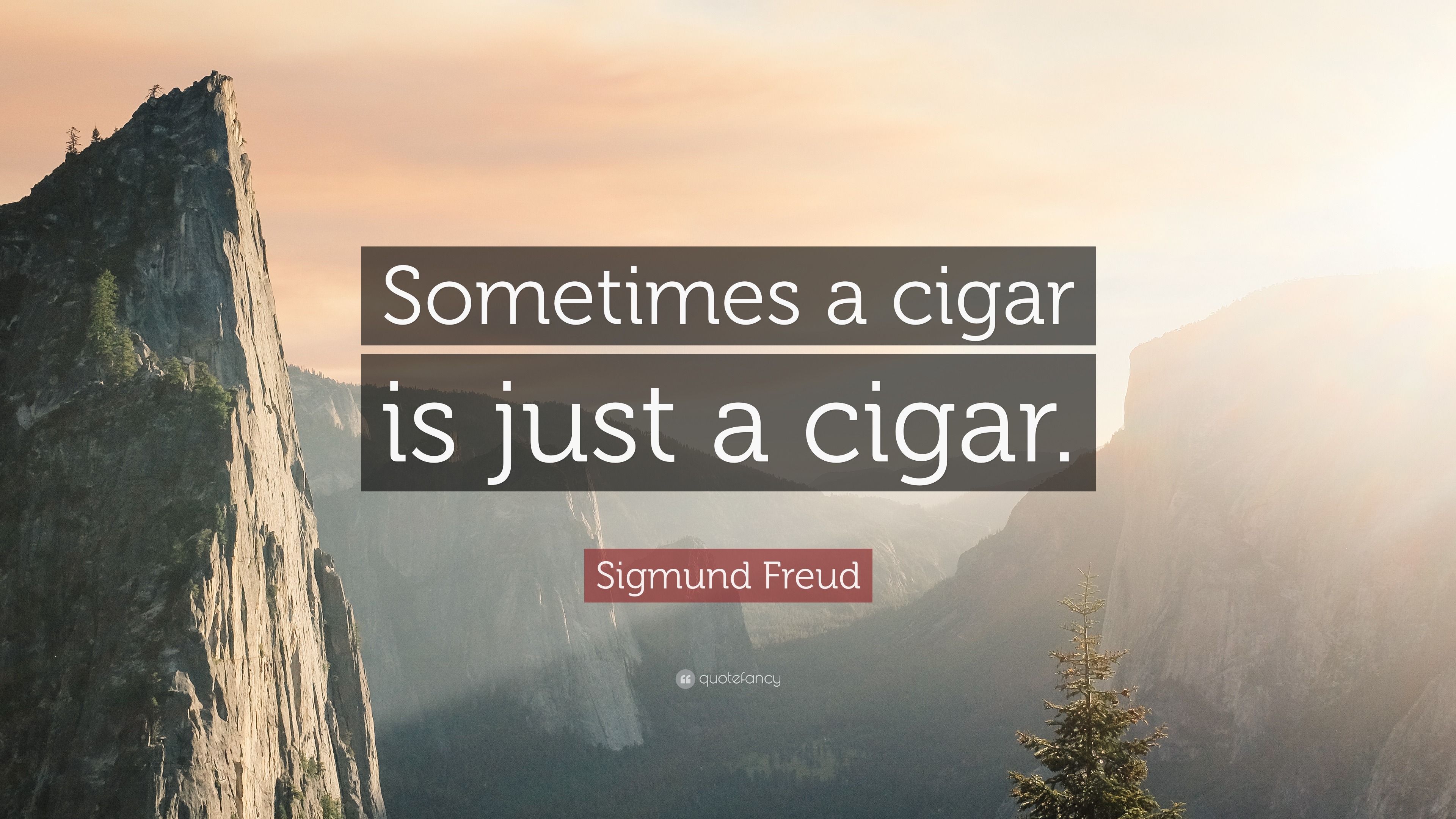 Sigmund Freud Quote: “Sometimes a cigar is just a cigar.”