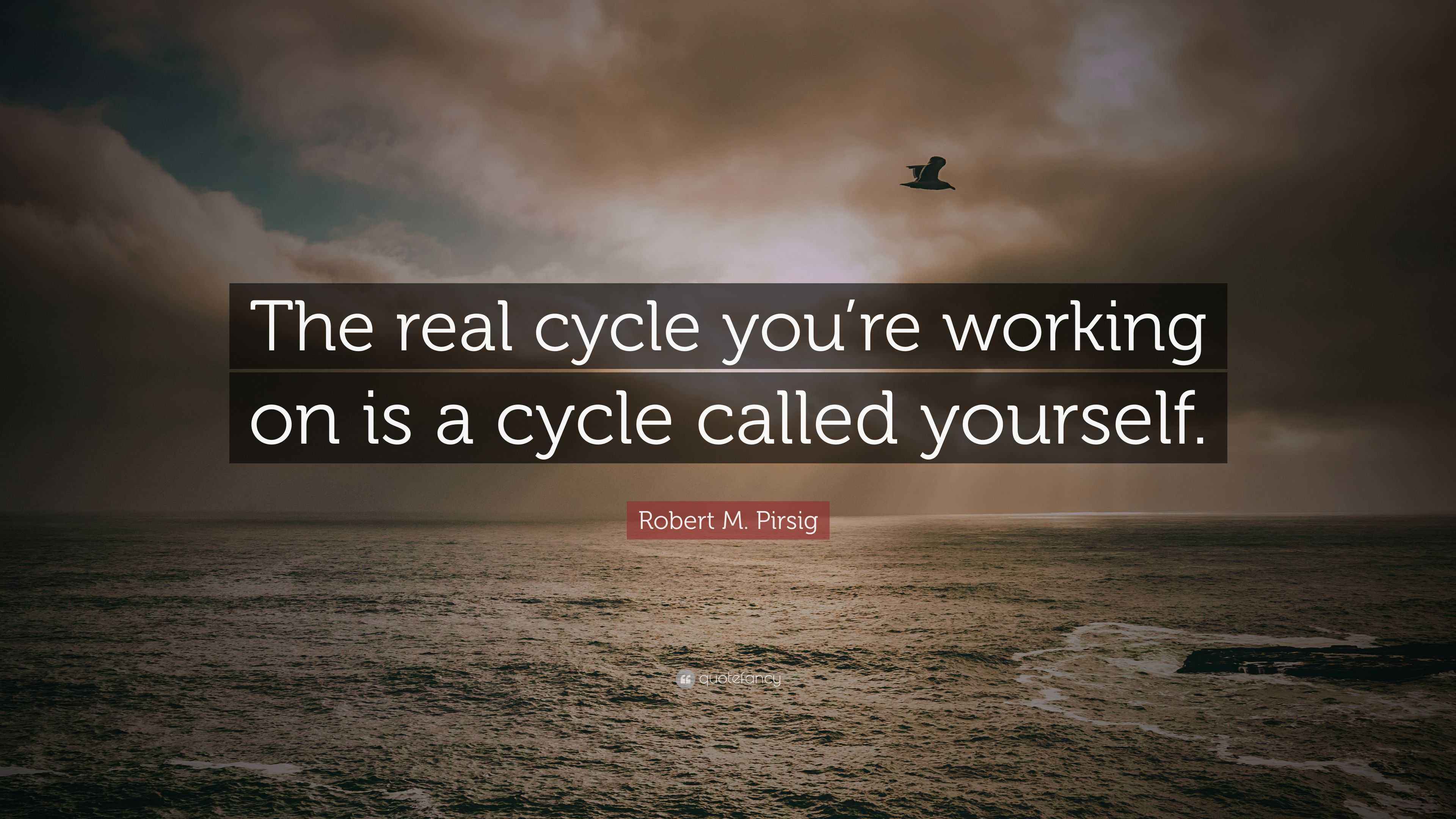 Robert M. Pirsig Quote: “The real cycle you’re working on is a cycle ...