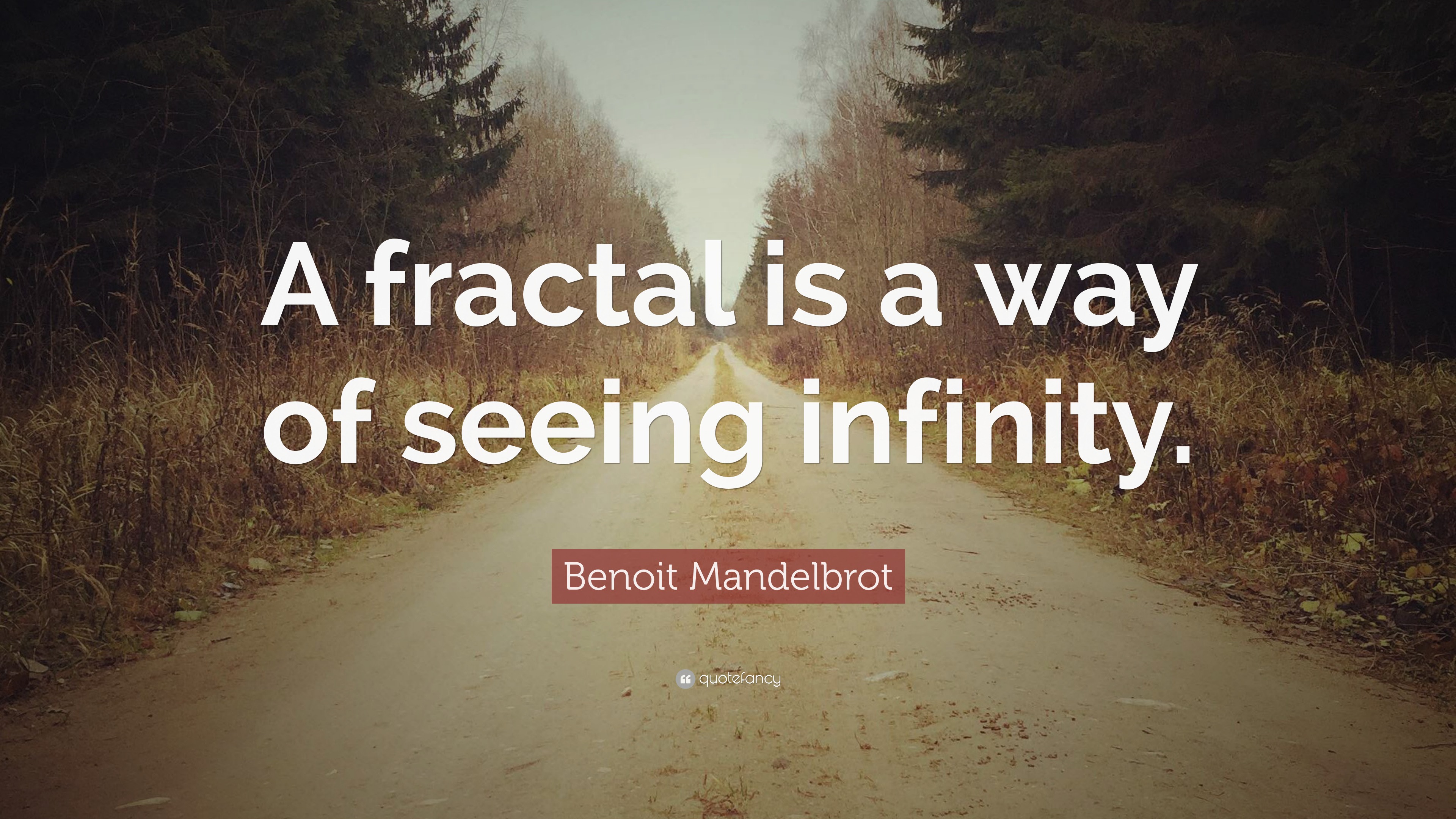 Benoit Mandelbrot Quote: “A fractal is a way of seeing infinity.”