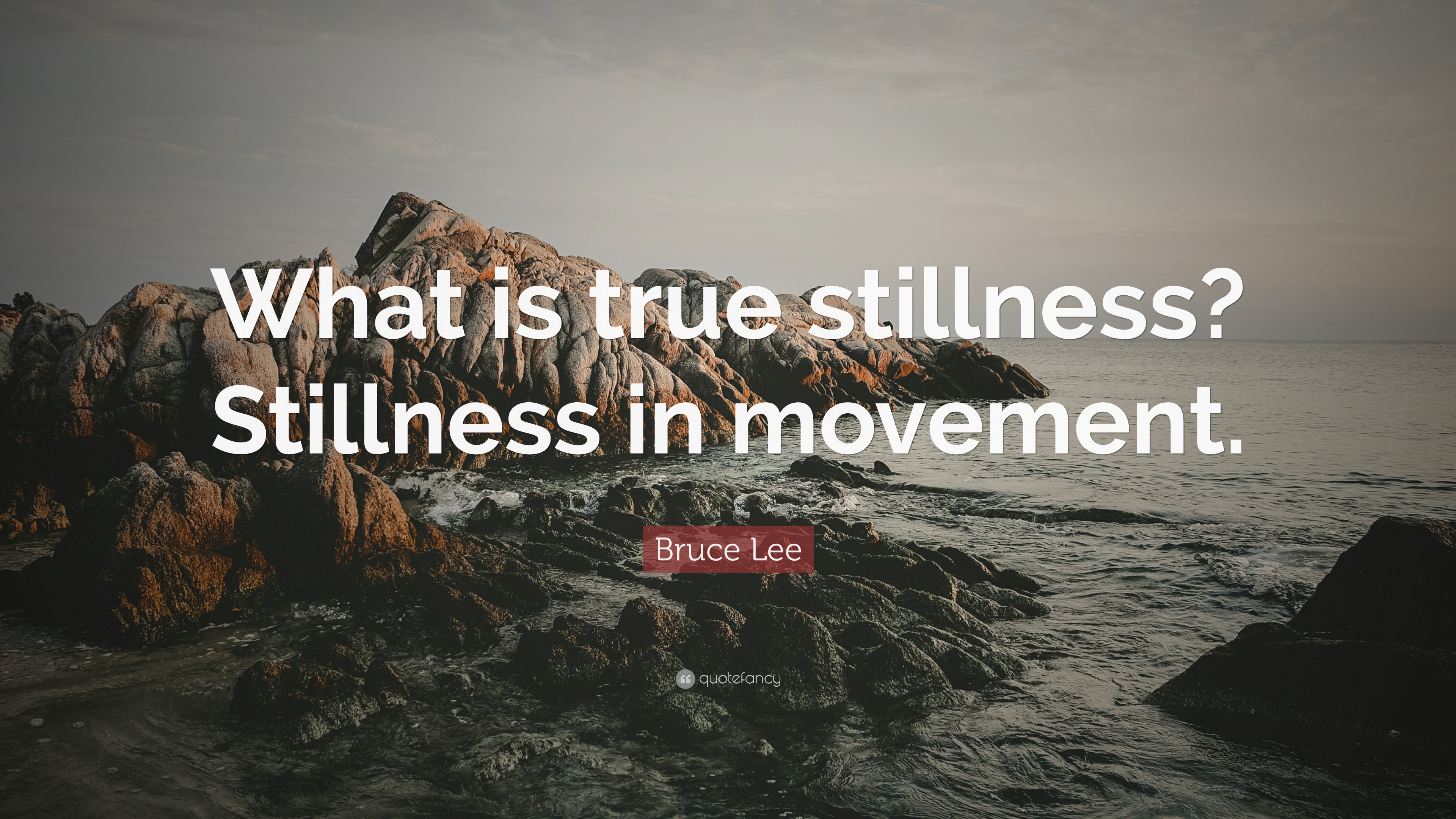 Bruce Lee Quote: “What is true stillness? Stillness in movement.”