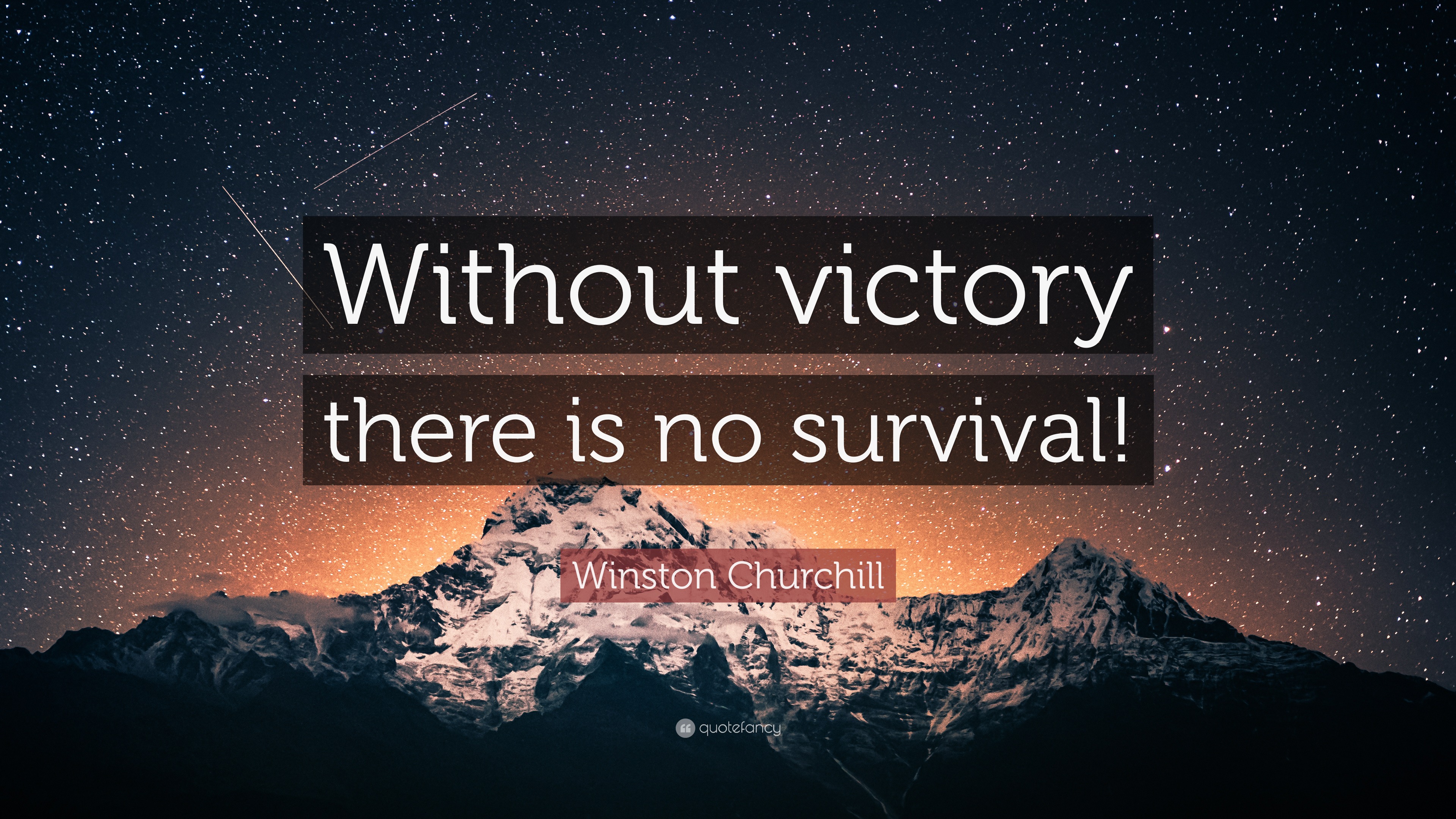Winston Churchill Quote: “Without victory there is no survival!”