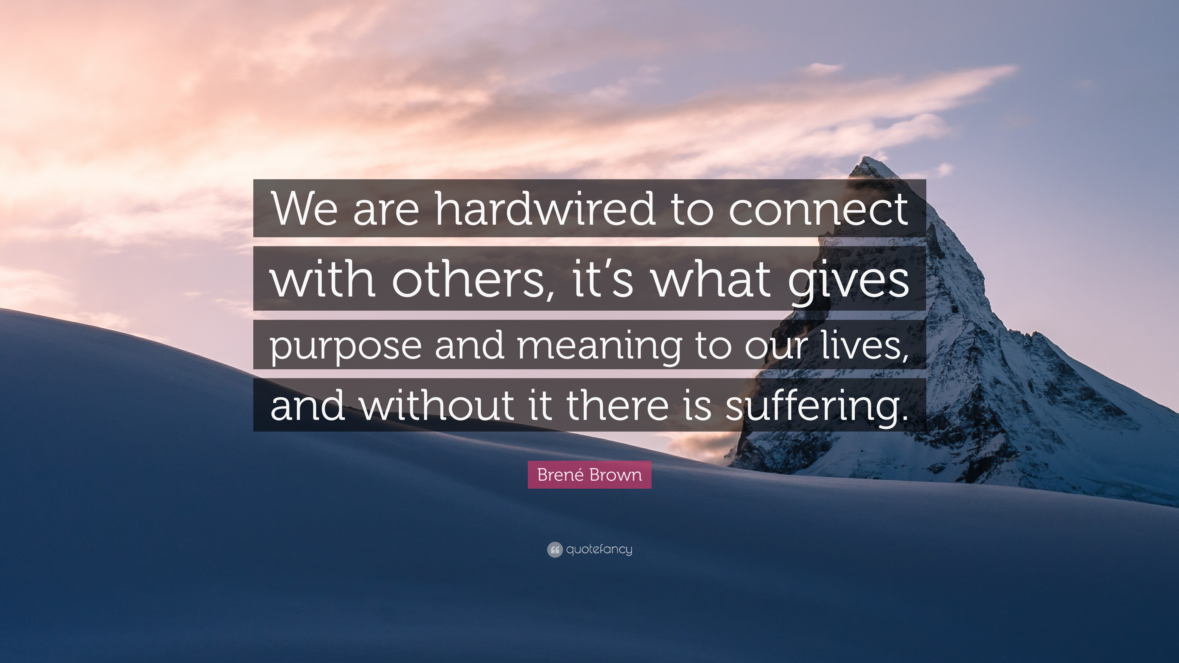 Brené Brown Quote: “We are hardwired to connect with others, it’s what ...