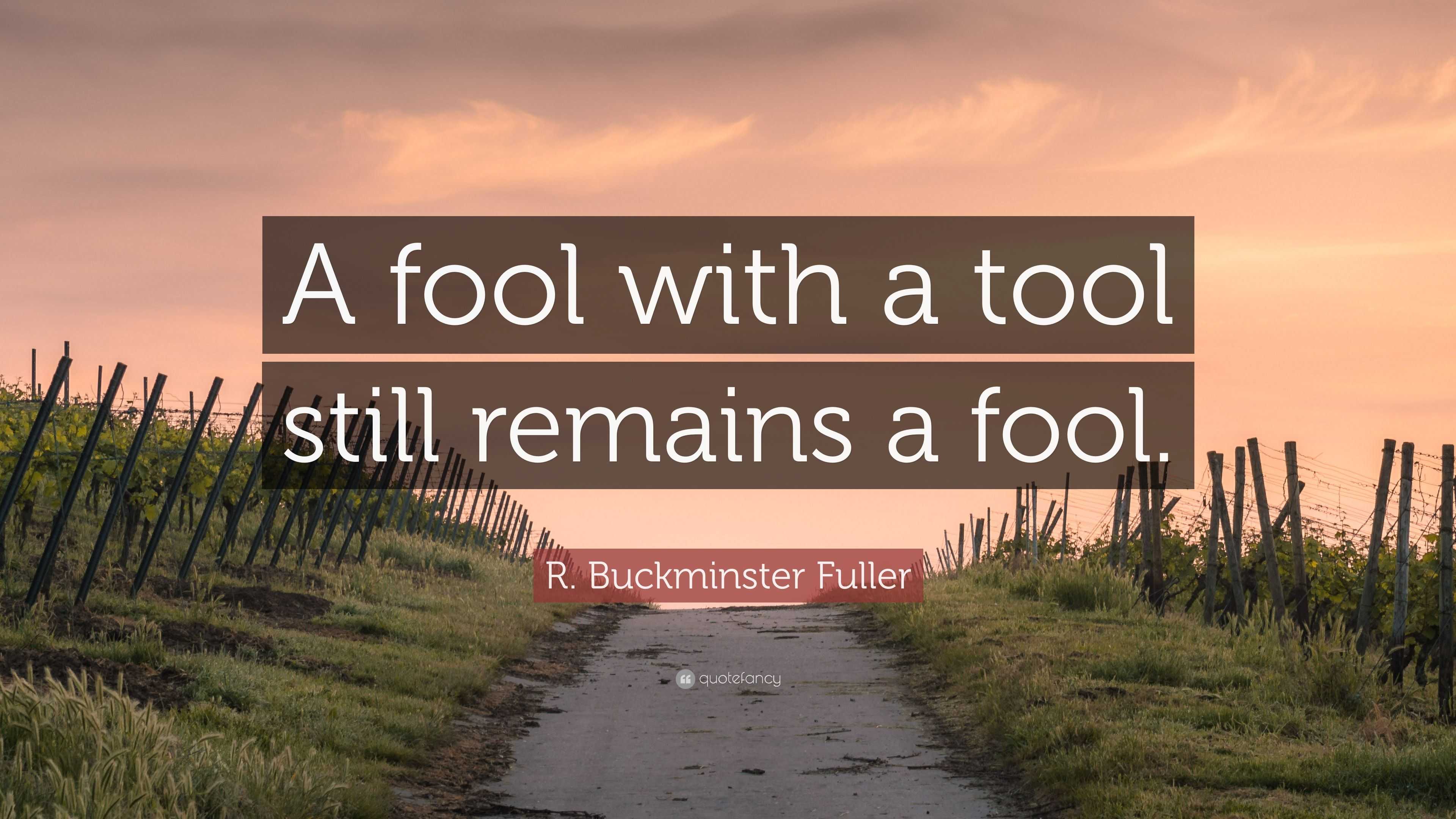 R. Buckminster Fuller Quote: “A fool with a tool still remains a fool.”