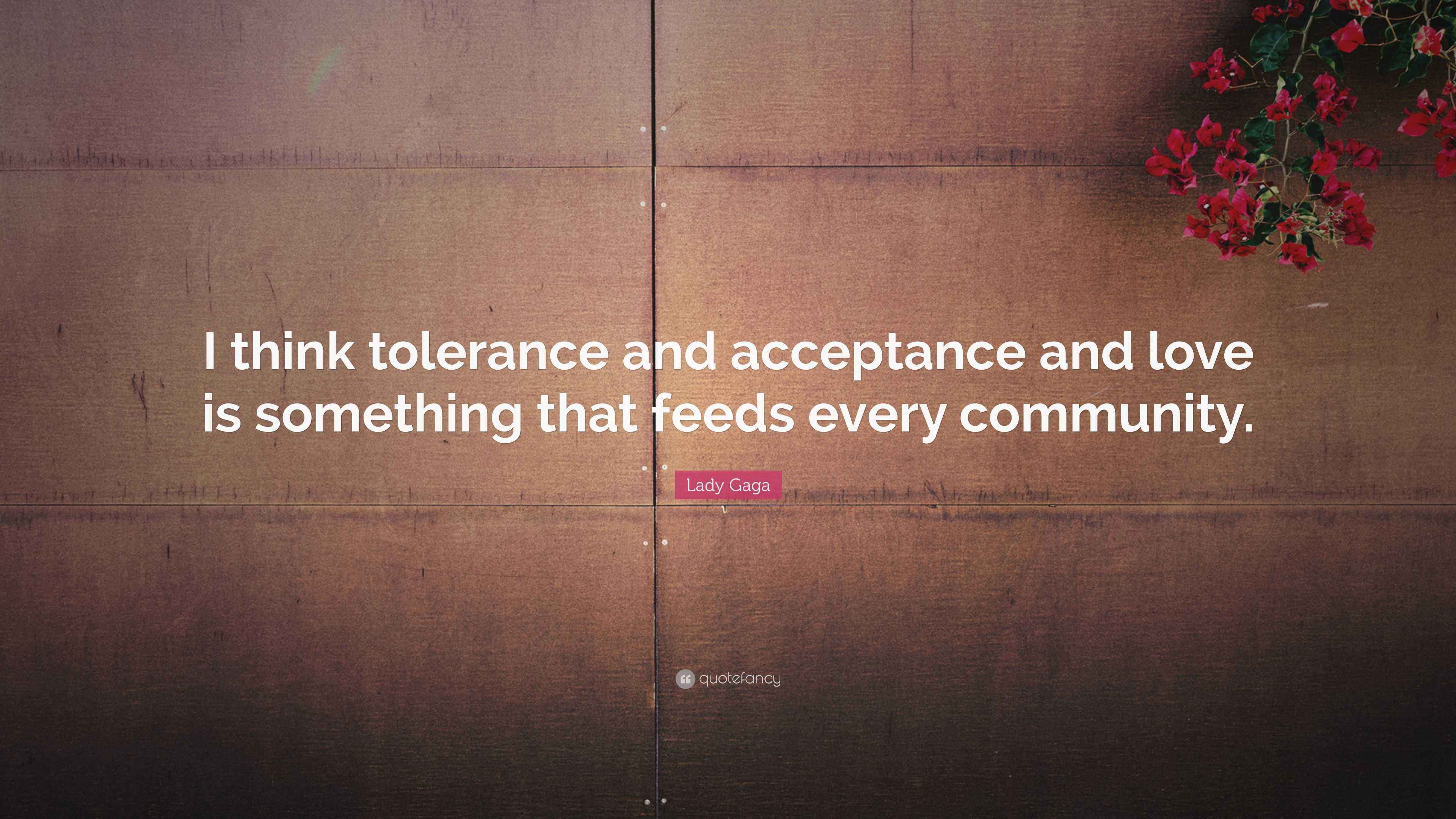Lady Gaga Quote: “I think tolerance and acceptance and love is ...