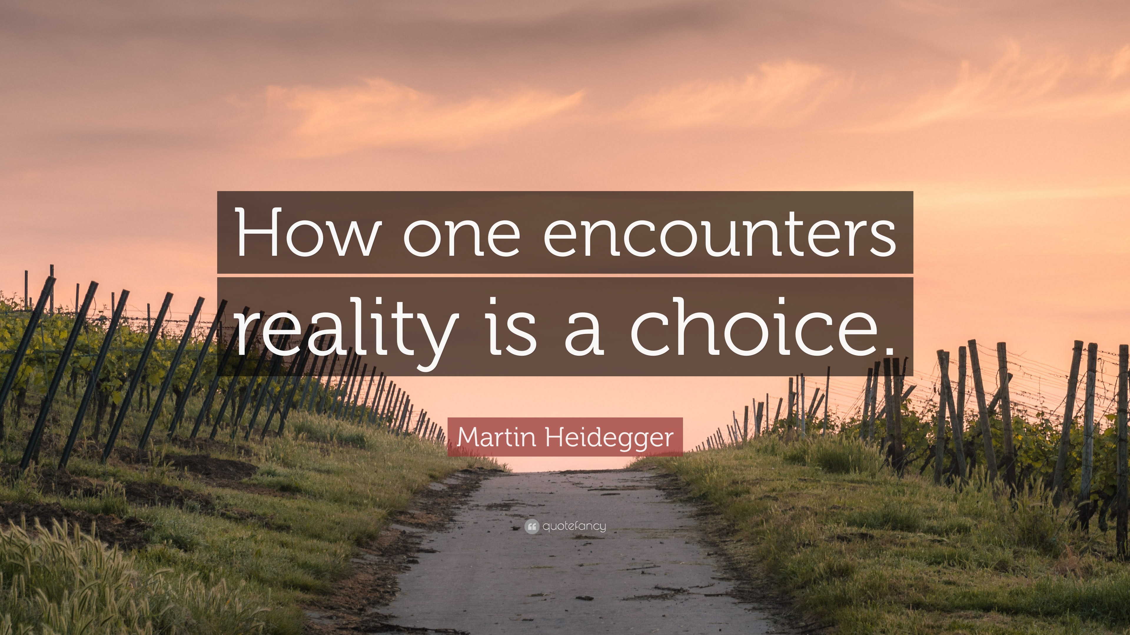 Martin Heidegger Quote: “How one encounters reality is a choice.”