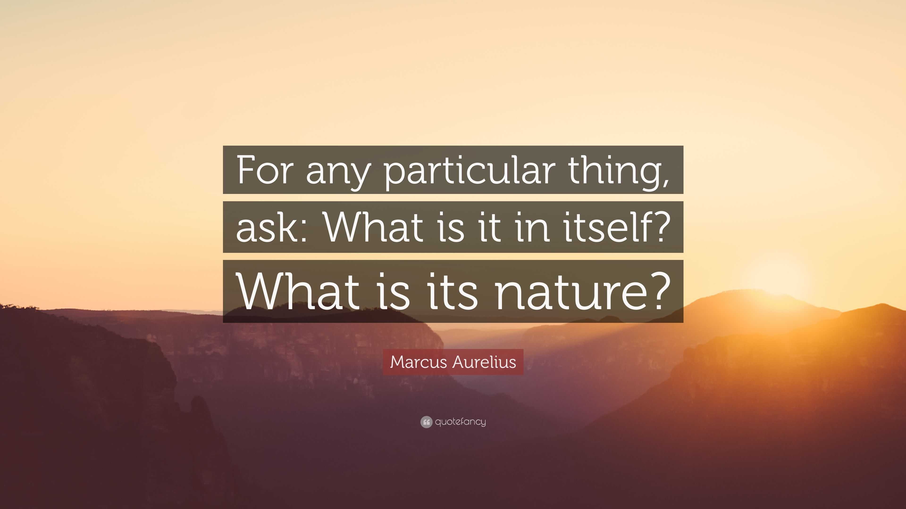 Marcus Aurelius Quote: “For any particular thing, ask: What is it in ...