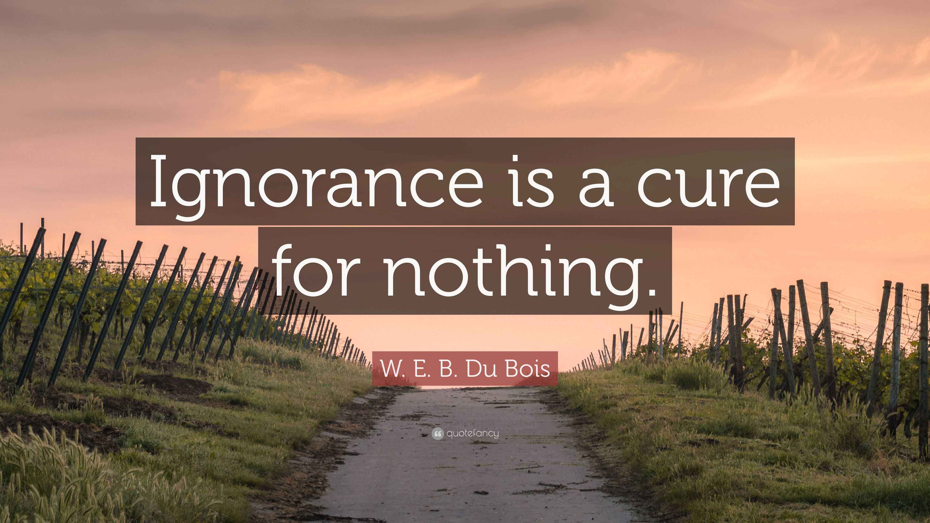 W. E. B. Du Bois Quote: “Ignorance is a cure for nothing.”