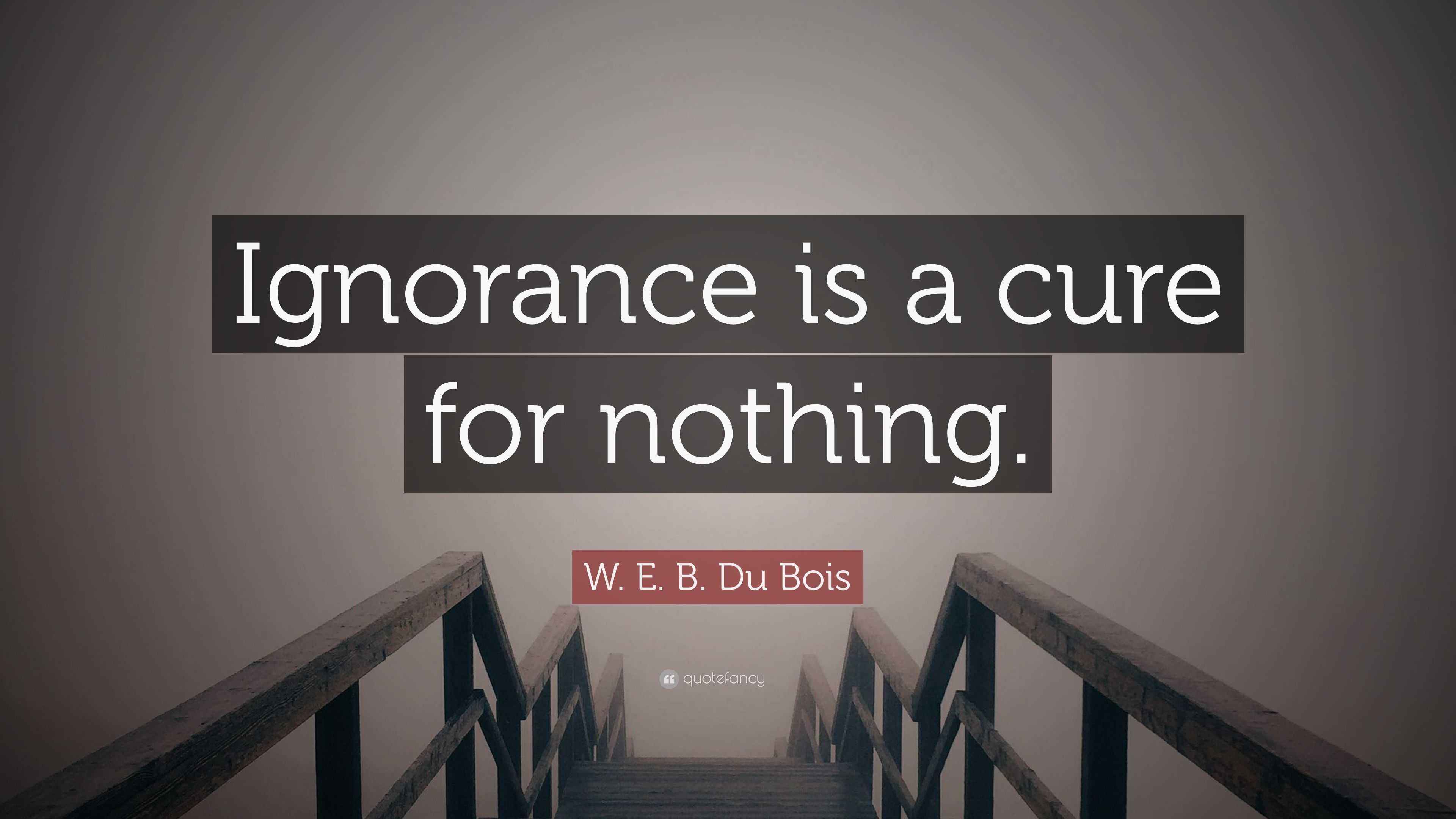 W. E. B. Du Bois Quote: “Ignorance is a cure for nothing.”
