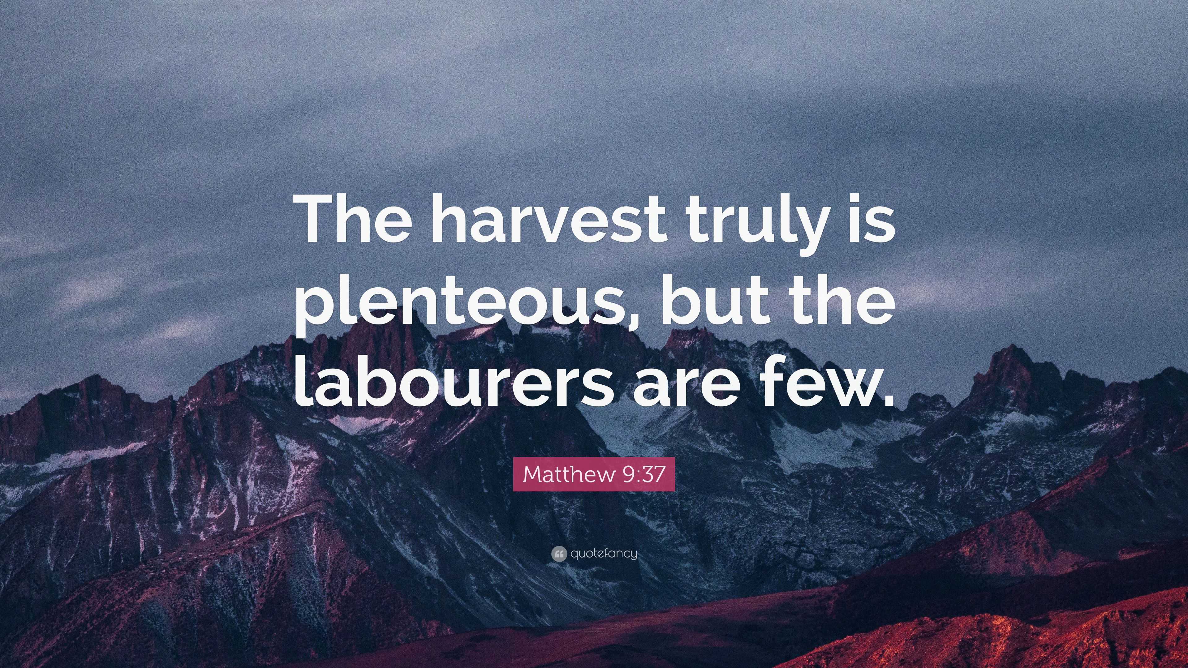 Matthew 9:37 Quote: “The harvest truly is plenteous, but the labourers ...