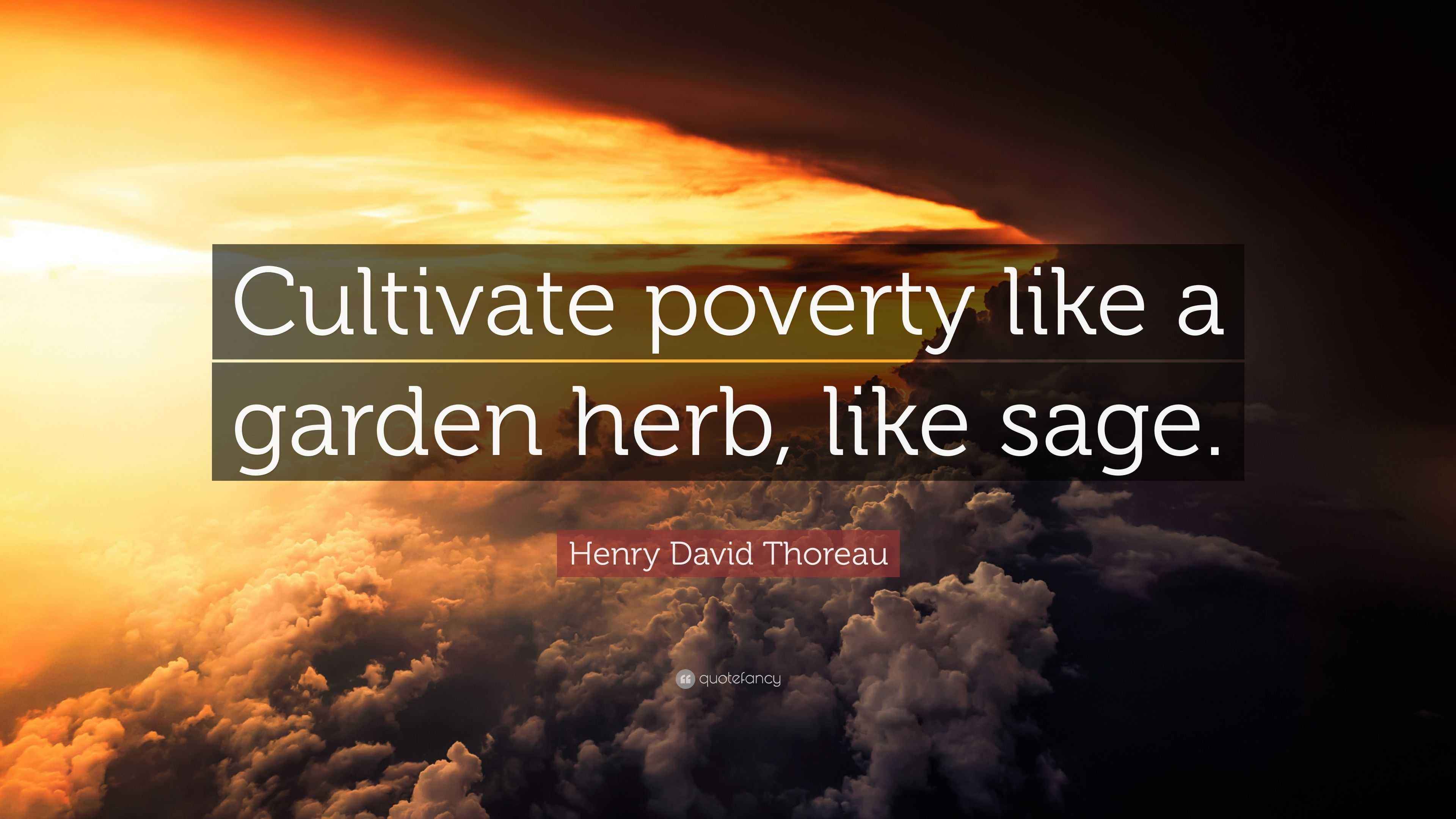 Henry David Thoreau Quote: “Cultivate poverty like a garden herb, like ...