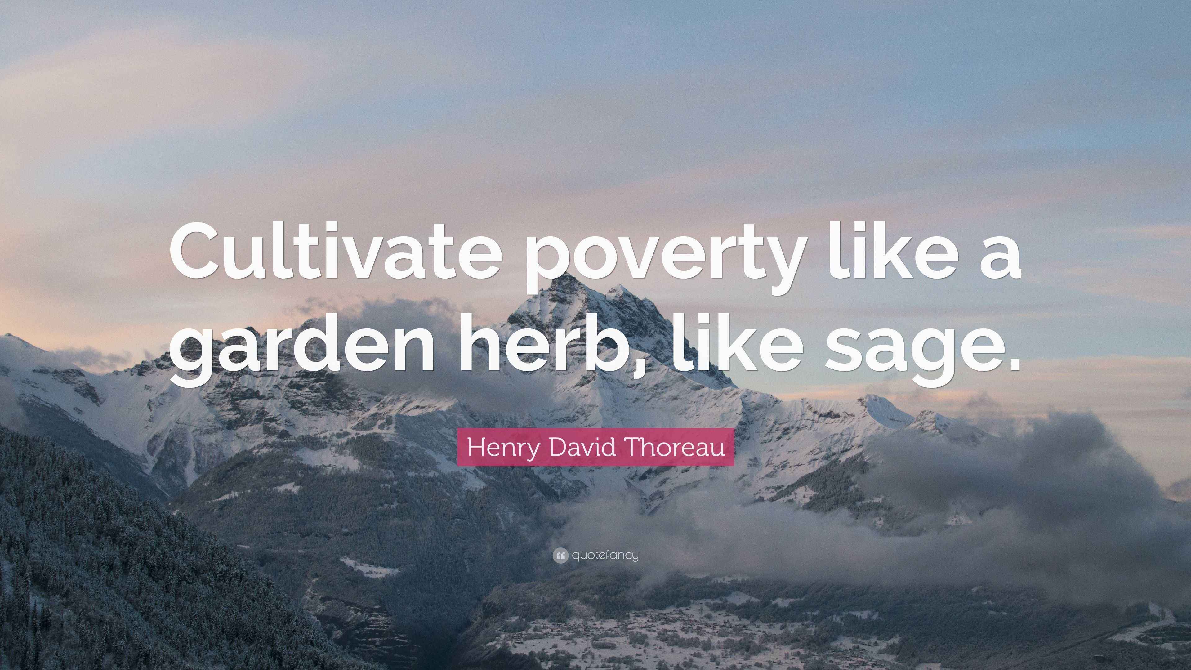 Henry David Thoreau Quote: “Cultivate poverty like a garden herb, like ...