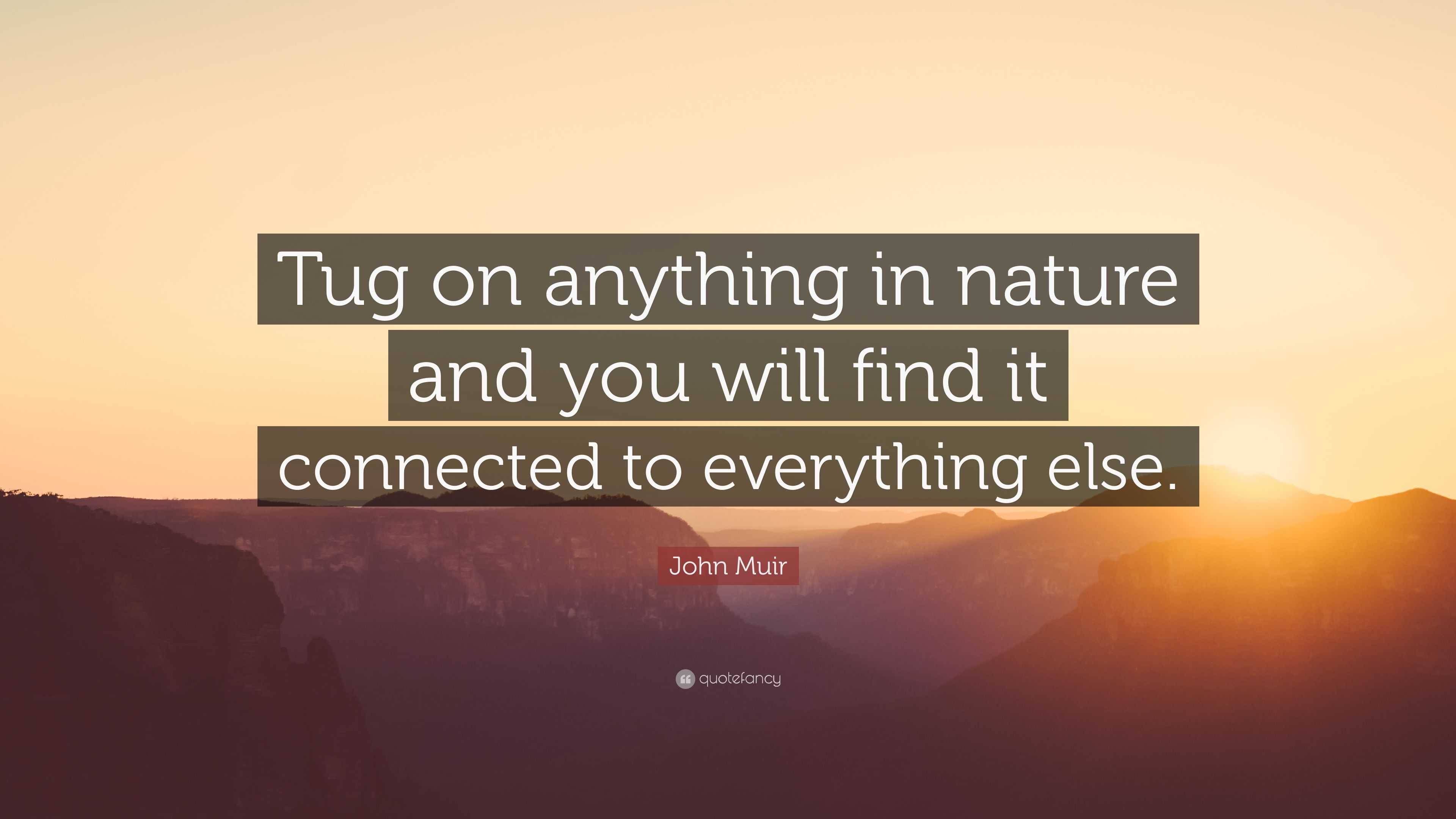 John Muir Quote: “Tug on anything in nature and you will find it ...