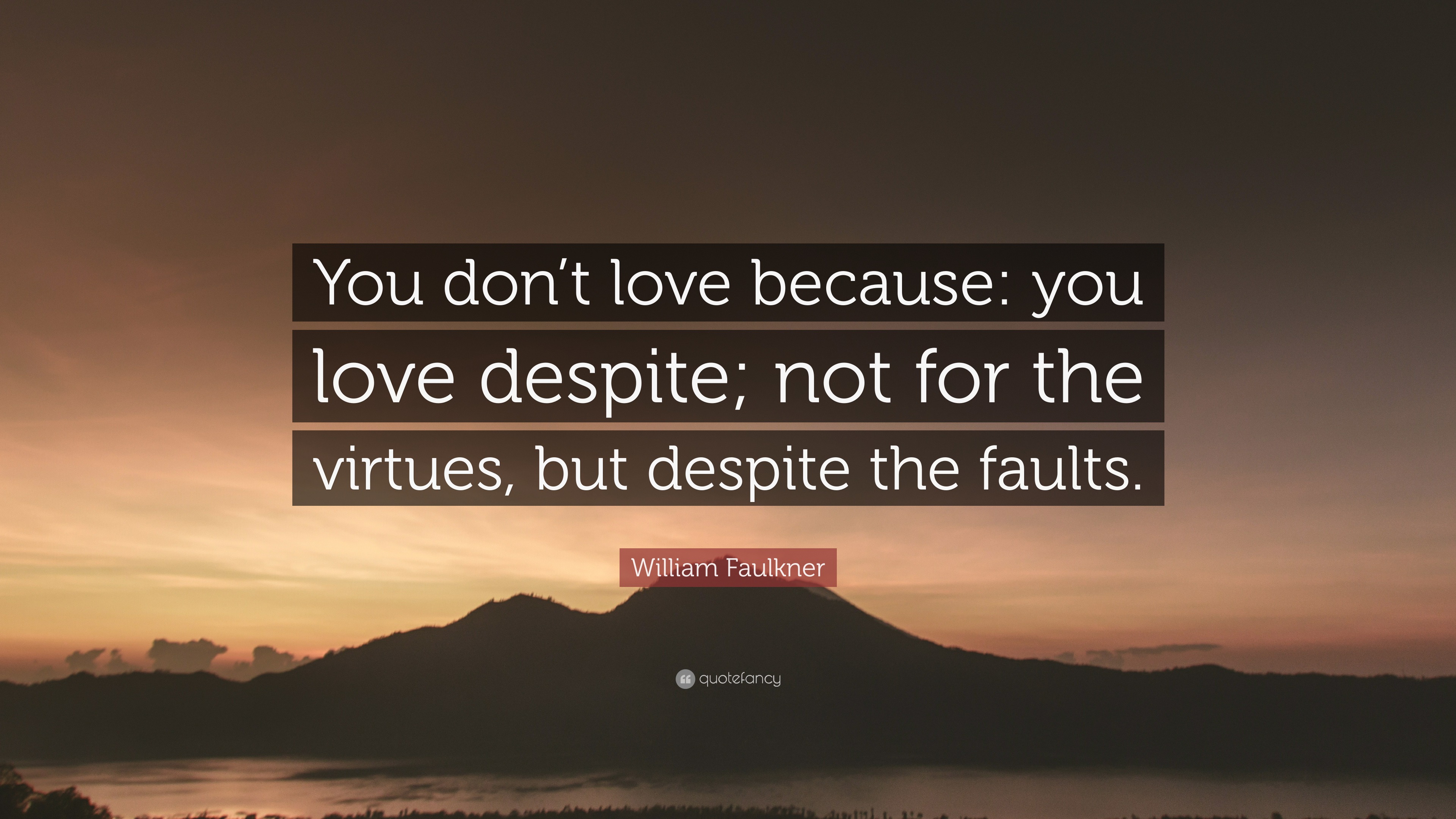 William Faulkner Quote: “You don’t love because: you love despite; not ...