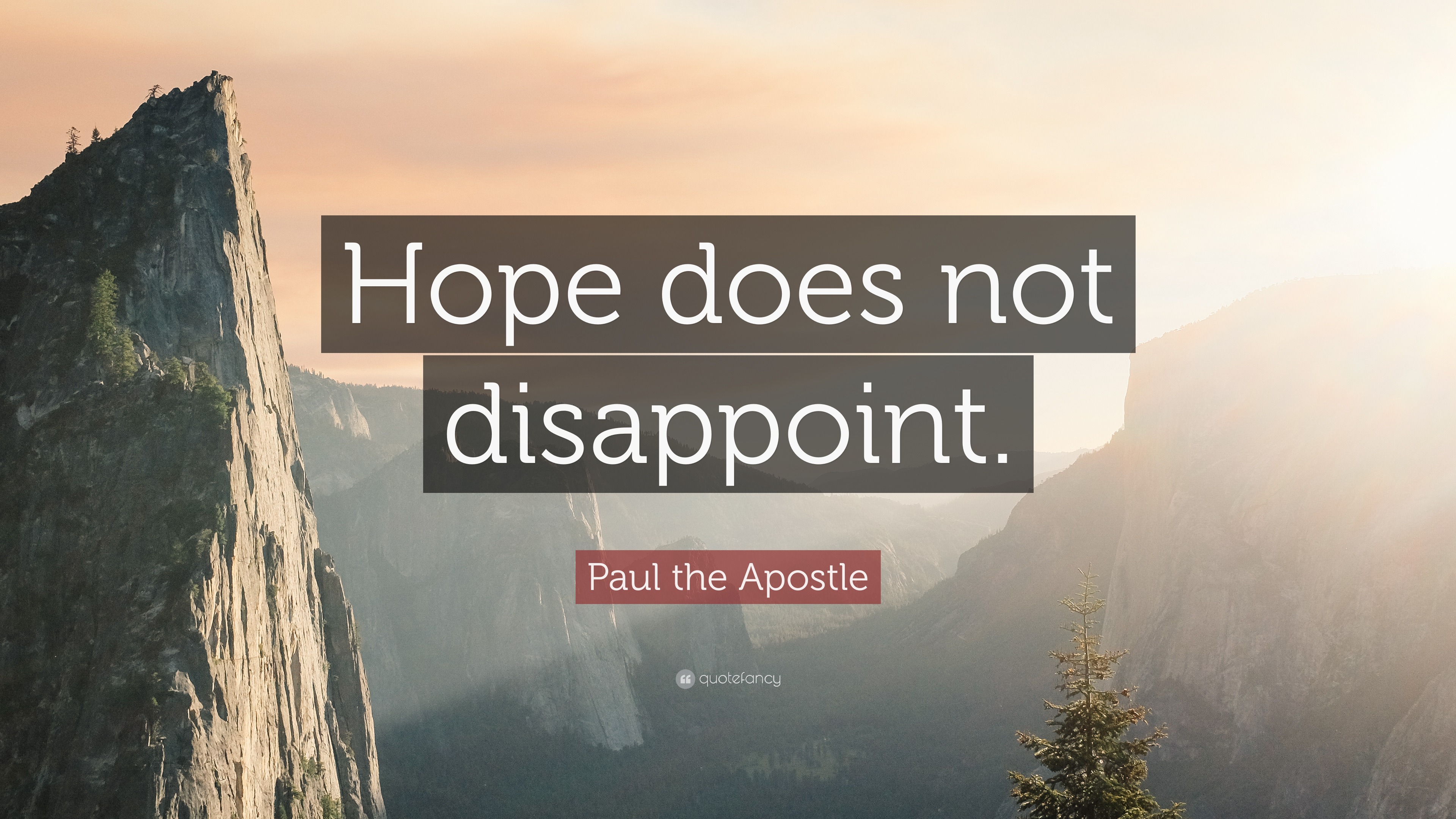 Paul the Apostle Quote: “Hope does not disappoint.”