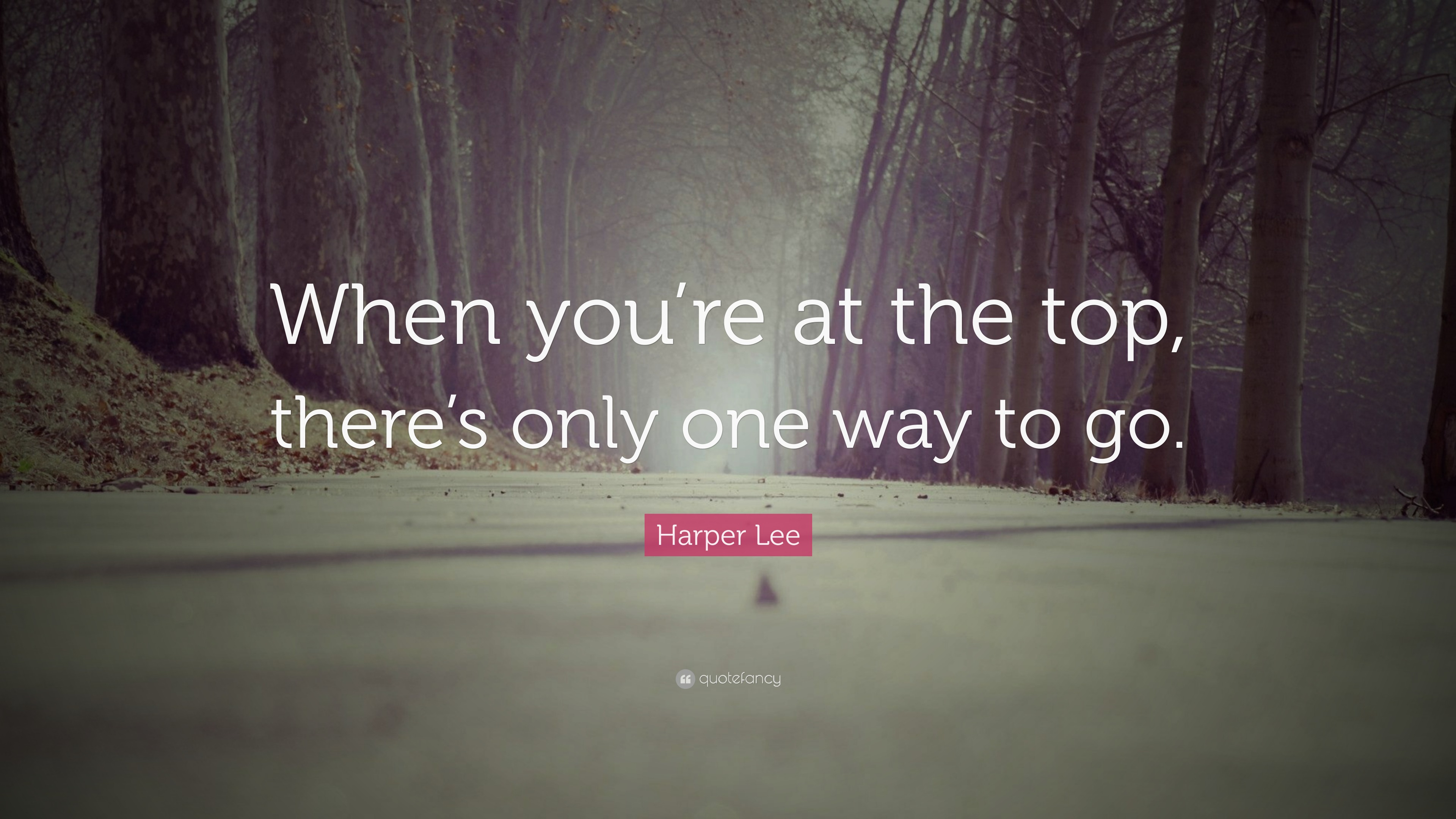Harper Lee Quote: “When you’re at the top, there’s only one way to go.”