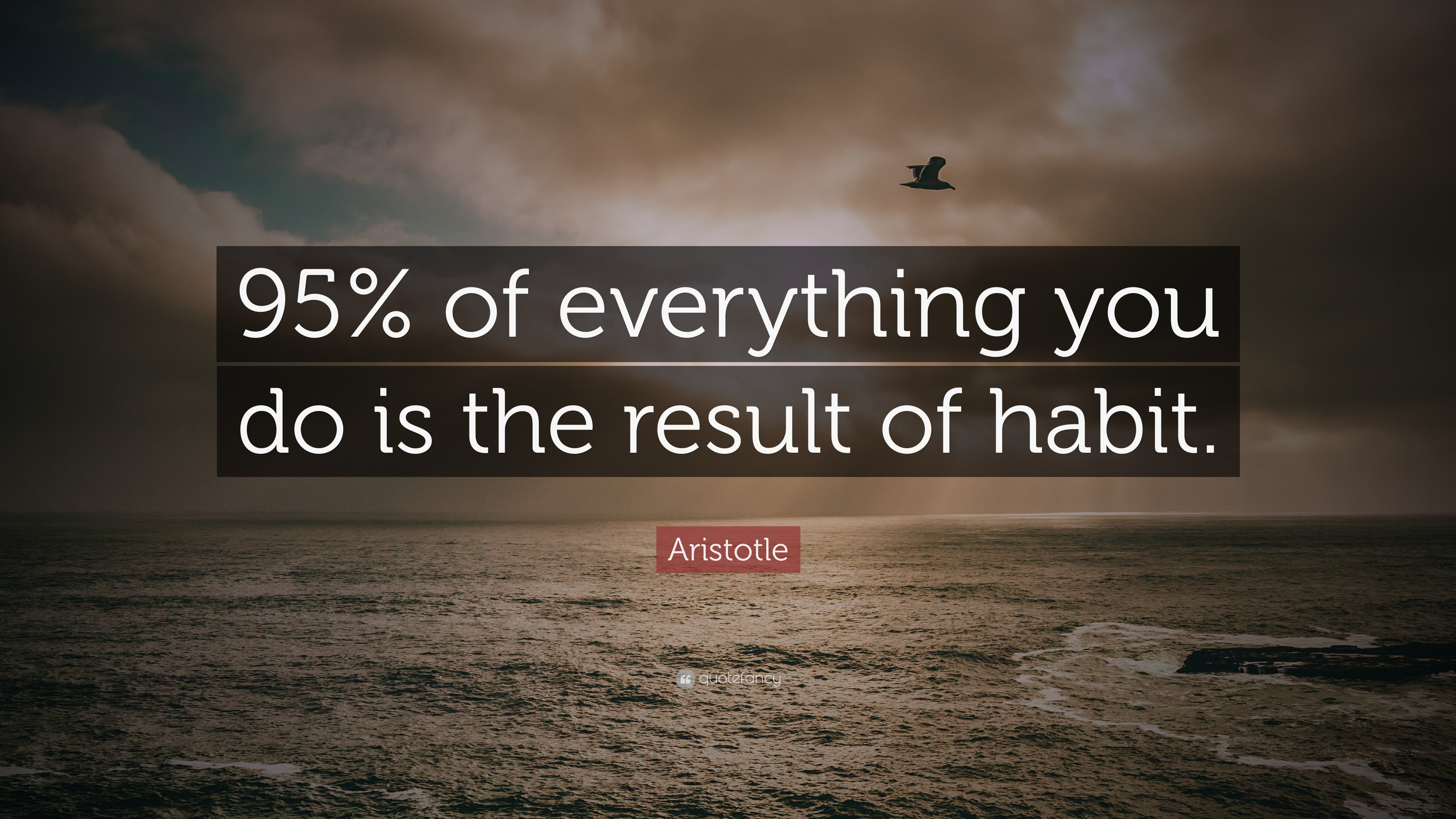 Aristotle Quote: “95% of everything you do is the result of habit.”