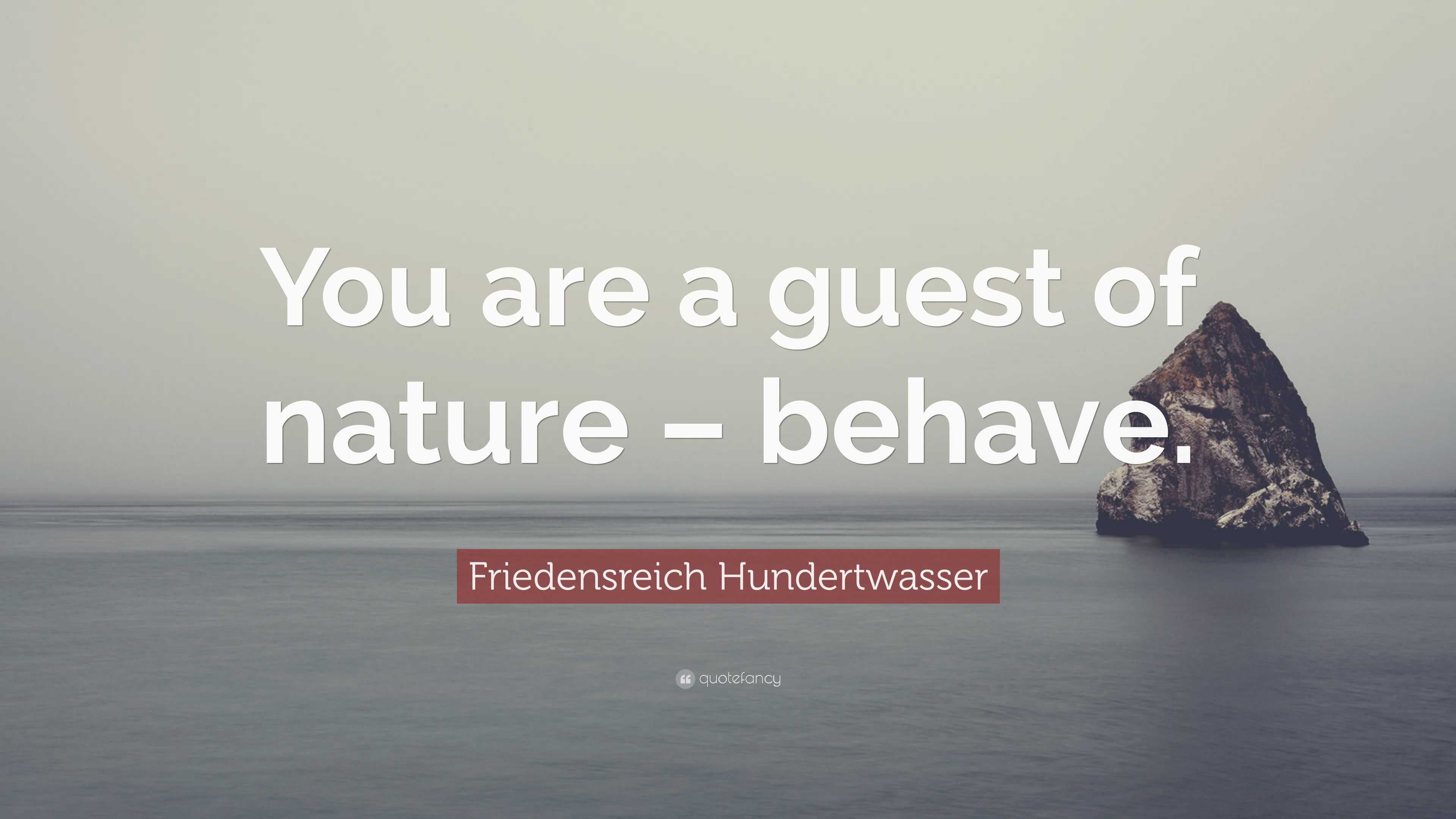 Friedensreich Hundertwasser Quote: “You are a guest of nature – behave.”