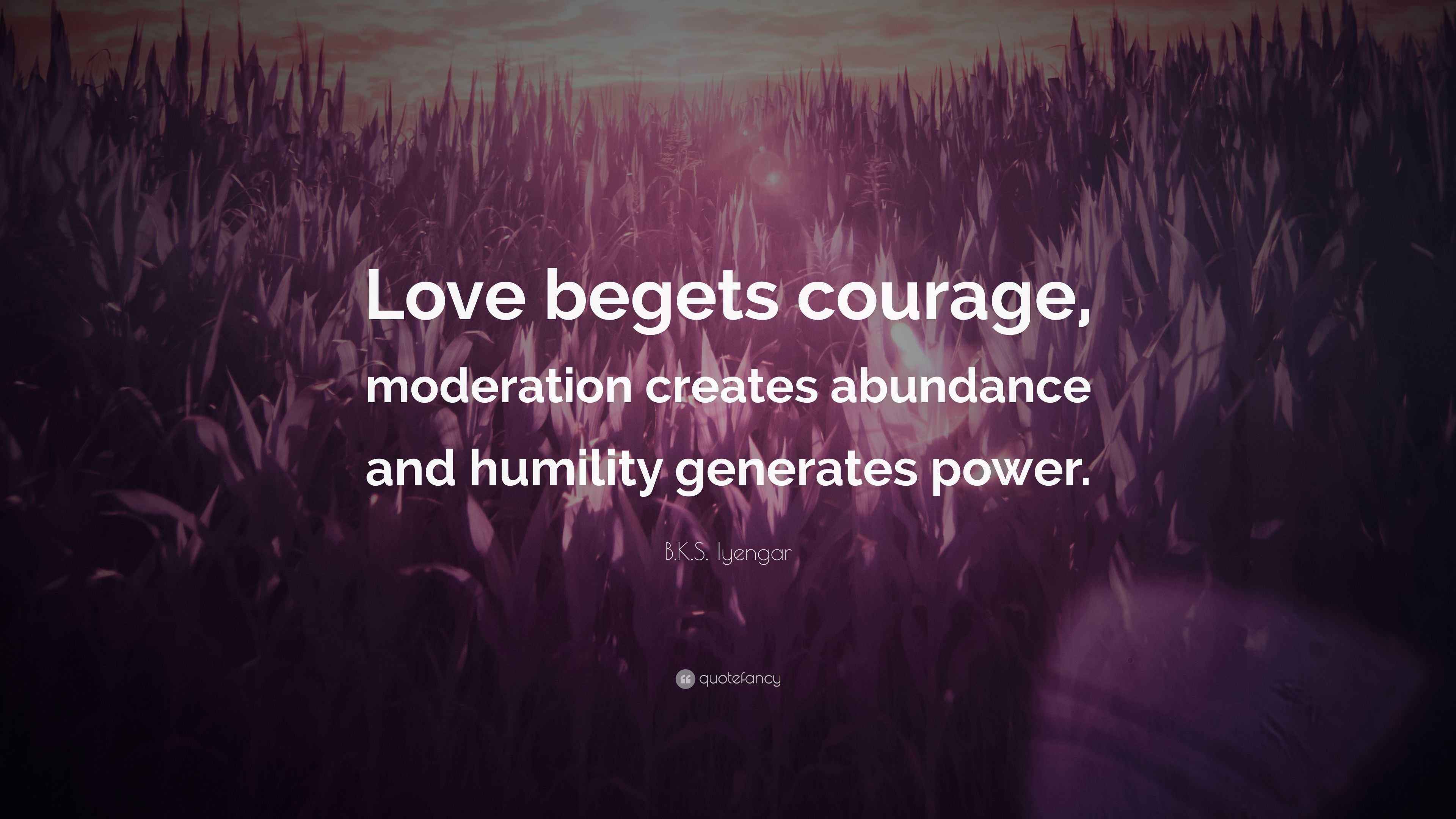 B.K.S. Iyengar Quote: “Love begets courage, moderation creates ...
