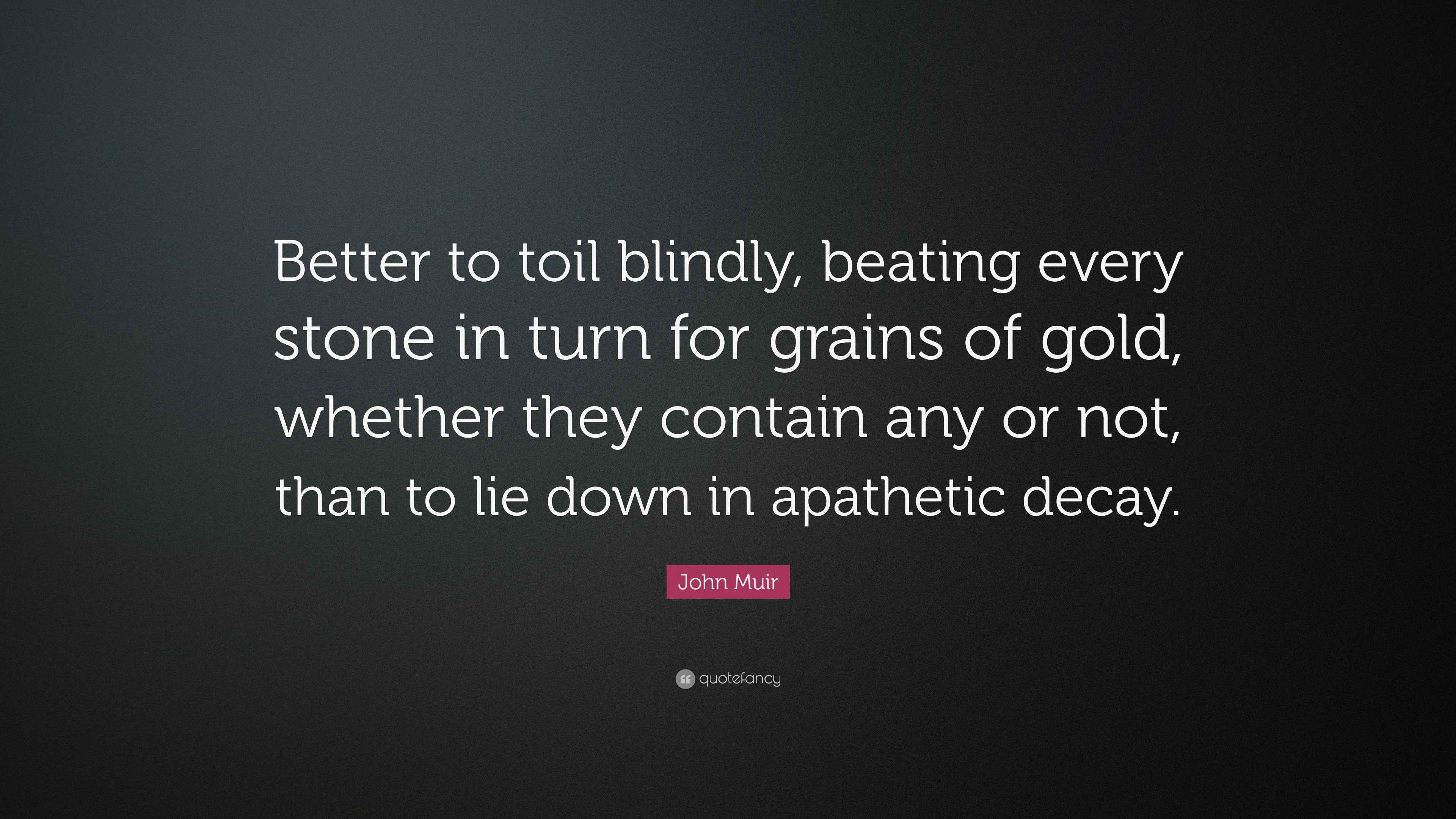 John Muir Quote: “Better to toil blindly, beating every stone in turn ...