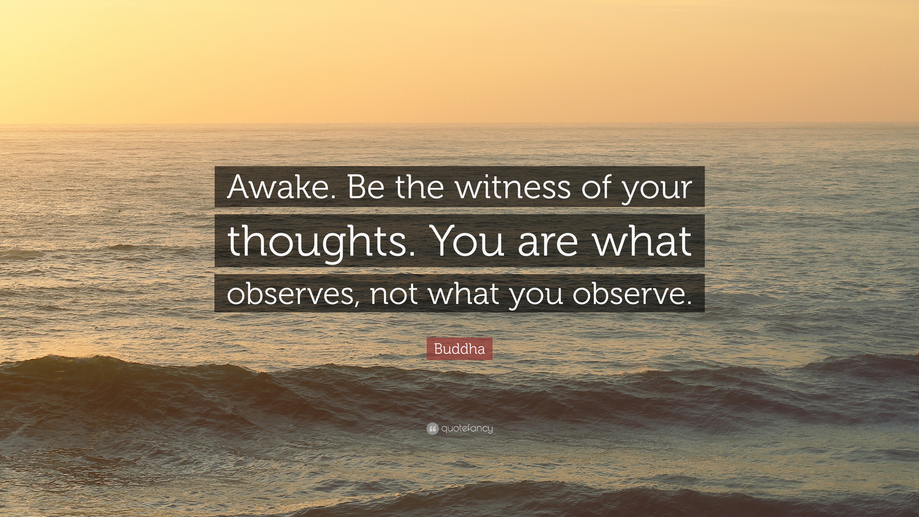 Buddha Quote: “Awake. Be the witness of your thoughts. You are what ...