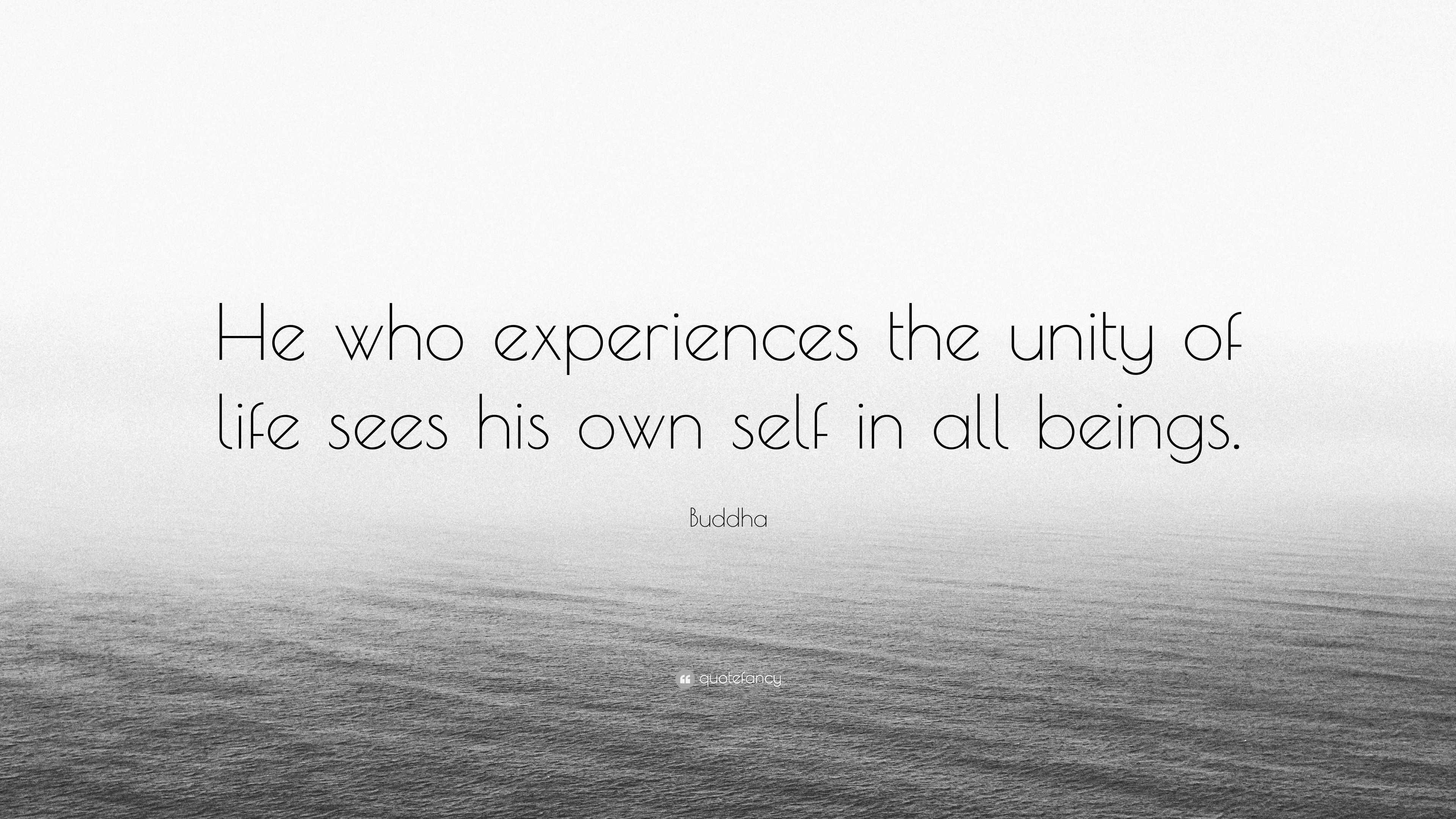 Buddha Quote: “He who experiences the unity of life sees his own self ...