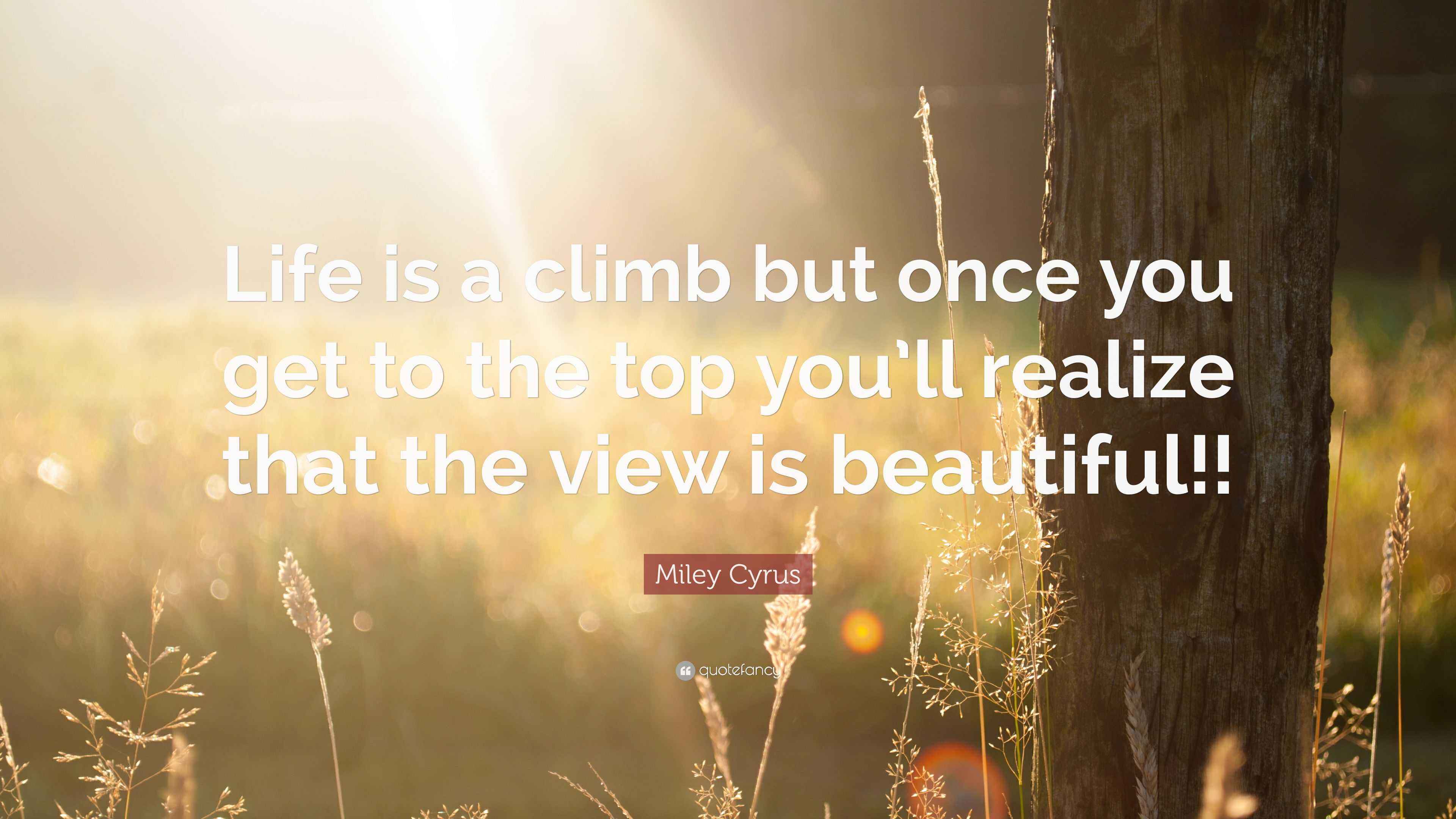 Miley Cyrus Quote: “Life is a climb but once you get to the top you’ll ...