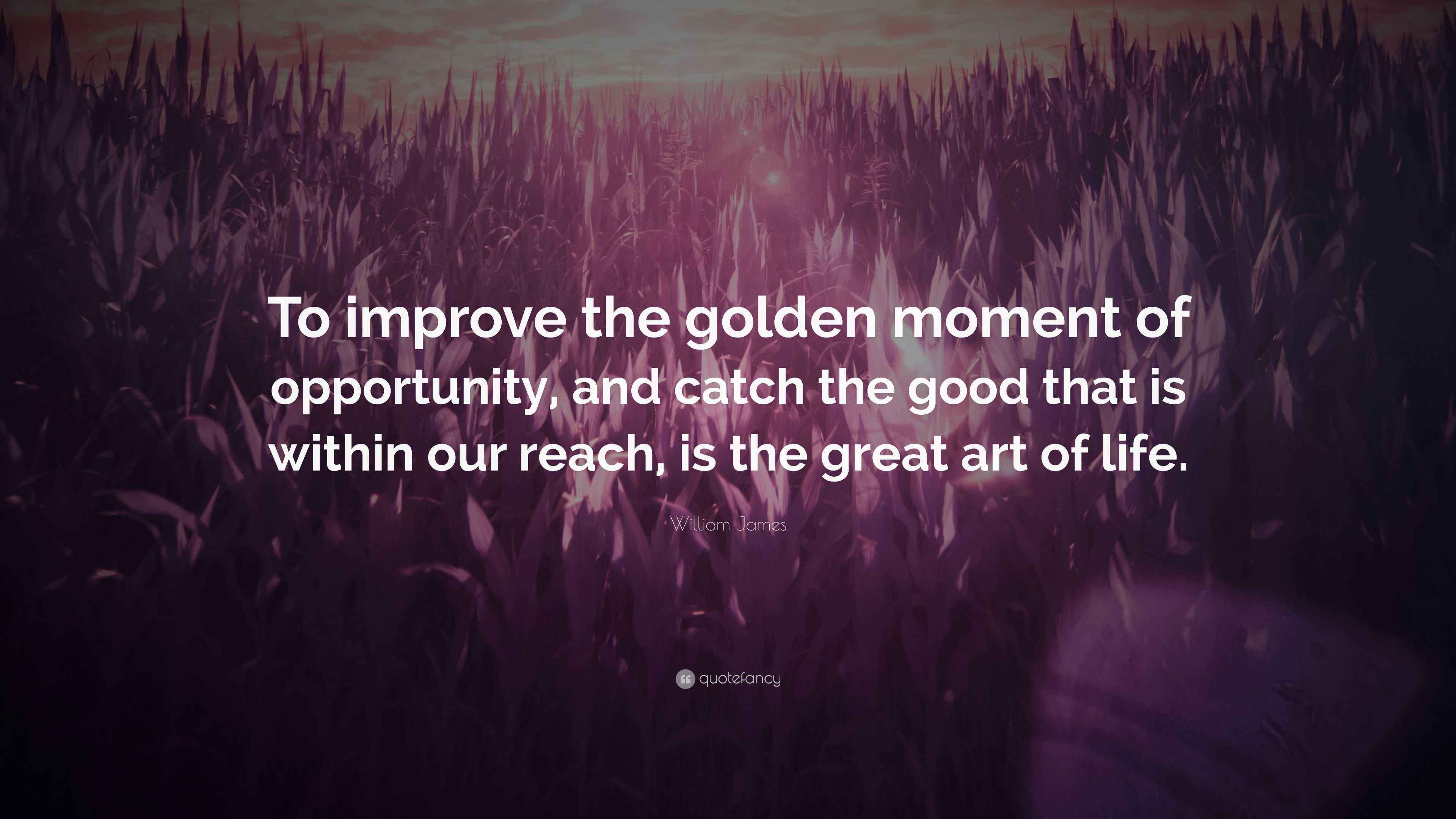 William James Quote: “To improve the golden moment of opportunity, and ...