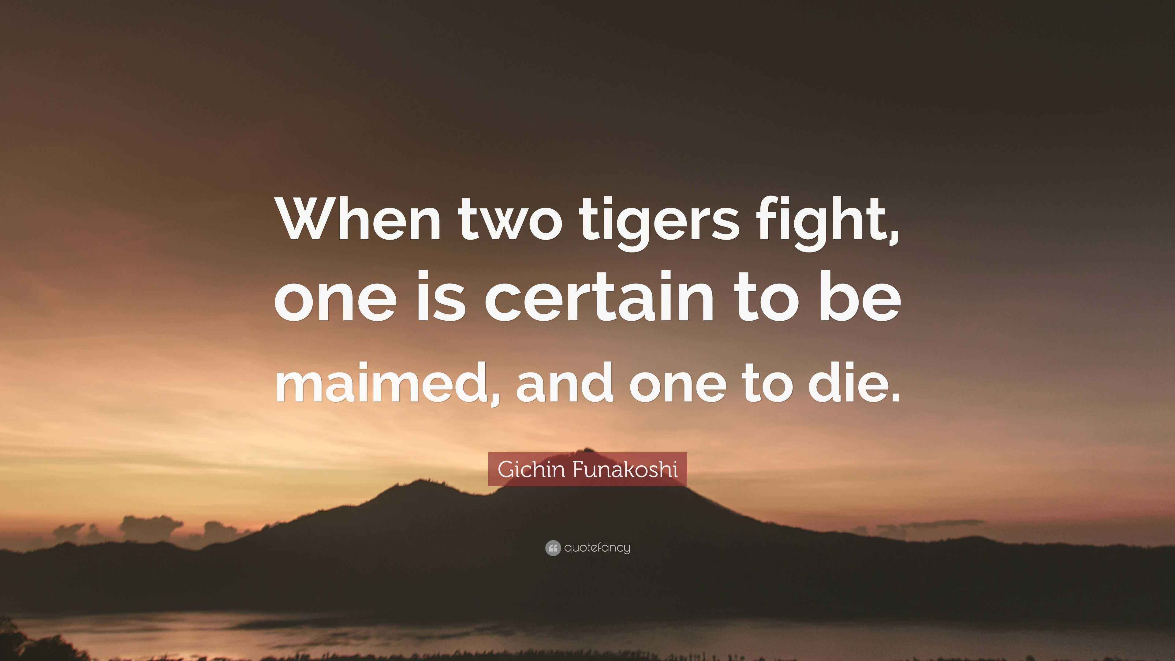 Gichin Funakoshi Quote: “When two tigers fight, one is certain to be ...