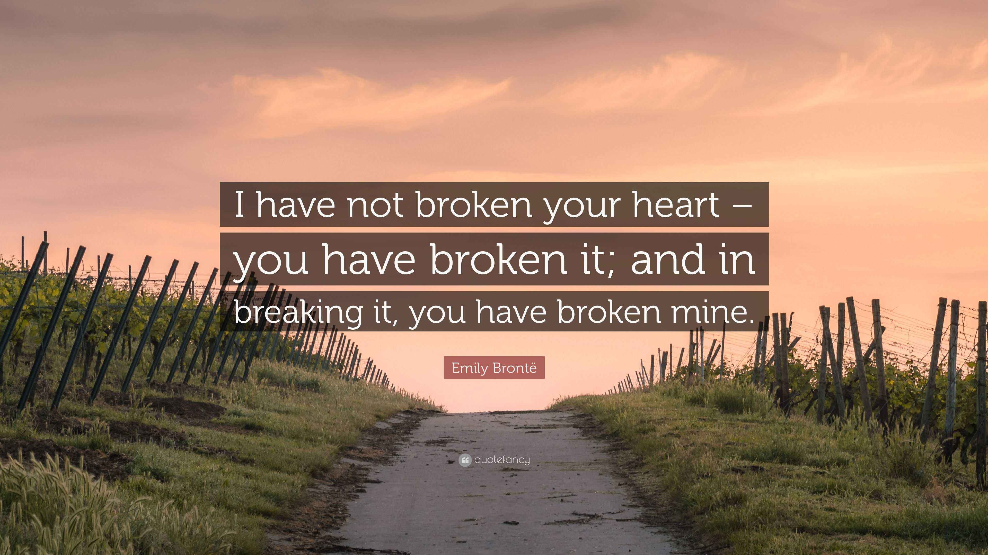 Emily Brontë Quote: “I have not broken your heart – you have broken it ...