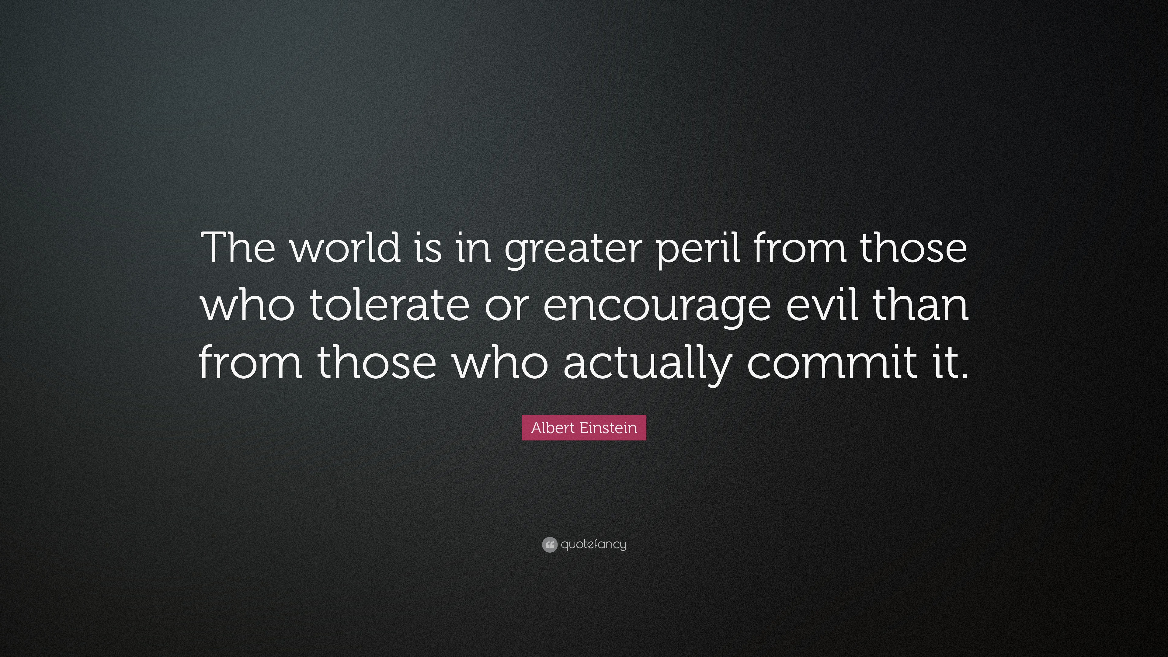 Albert Einstein Quote: “The world is in greater peril from those who ...