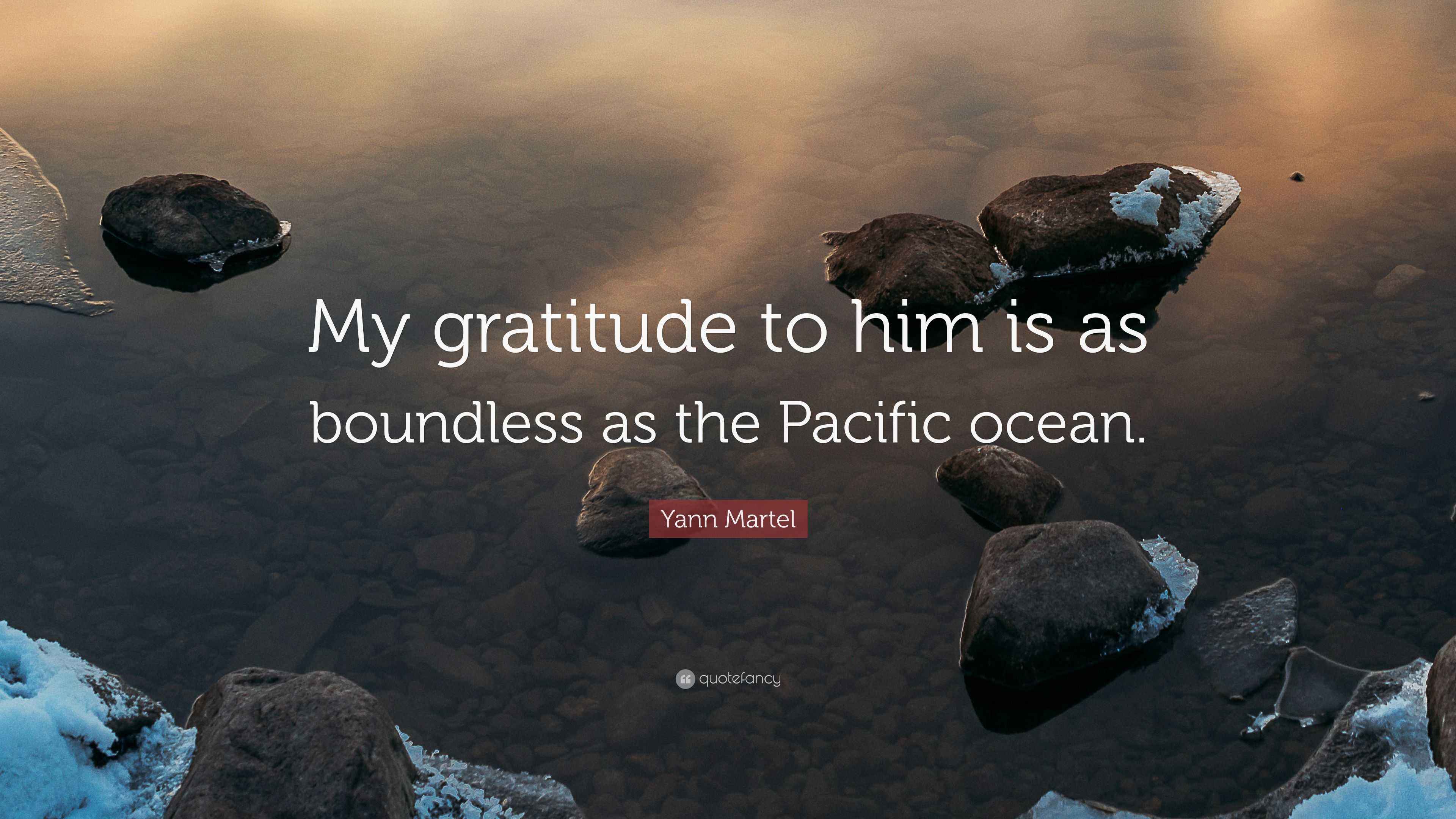 Yann Martel Quote: “My gratitude to him is as boundless as the Pacific ...