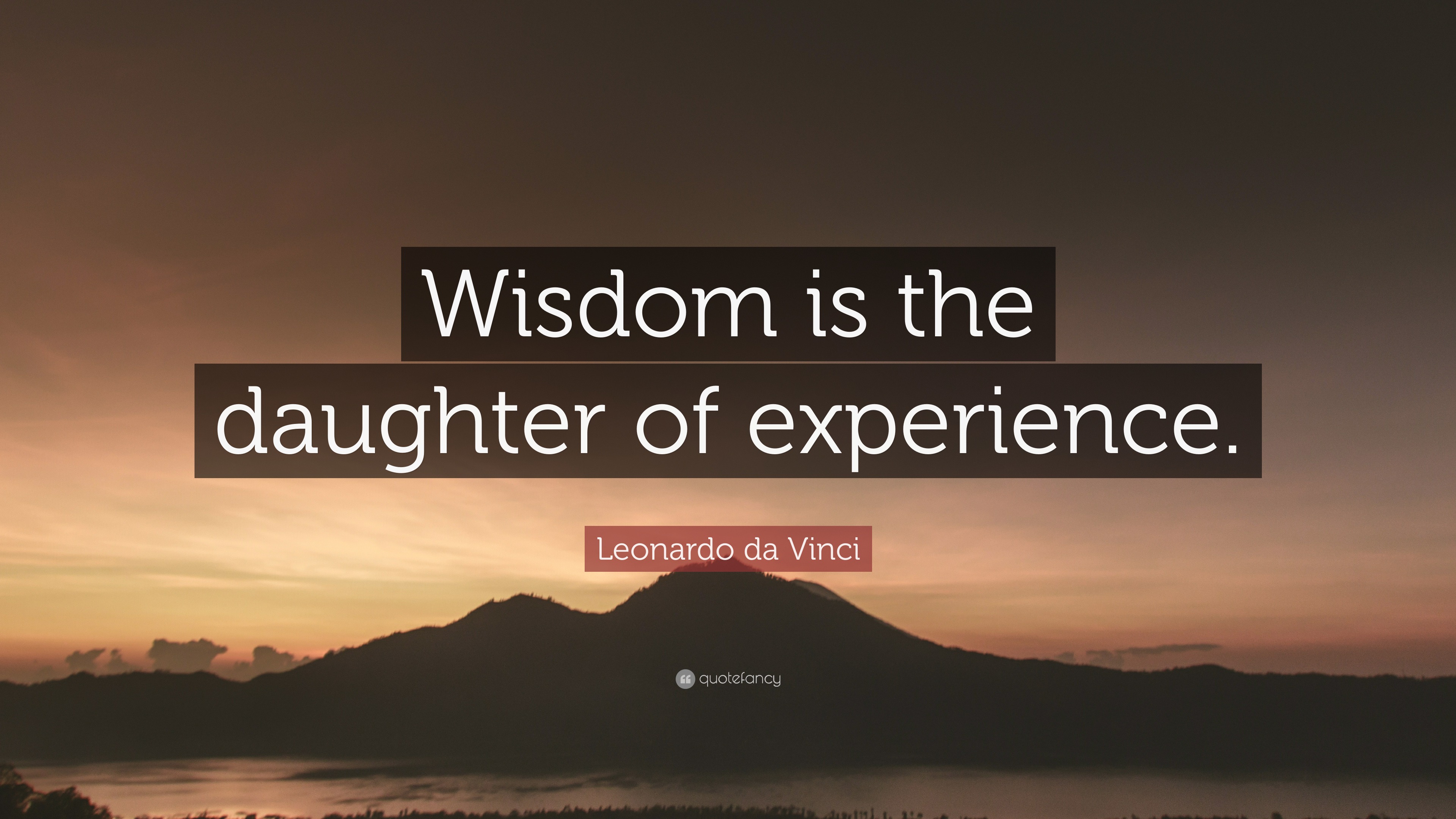 Leonardo da Vinci Quote: “Wisdom is the daughter of experience.”
